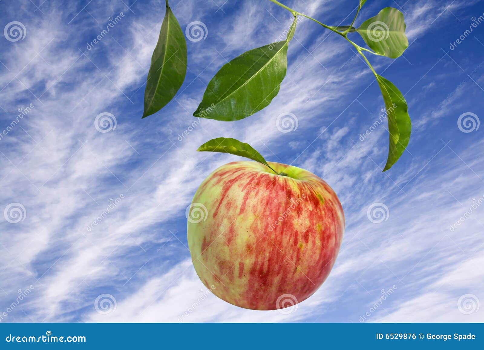 Fallender Apfel Lizenzfreies Stockbild - Bild: 6529876