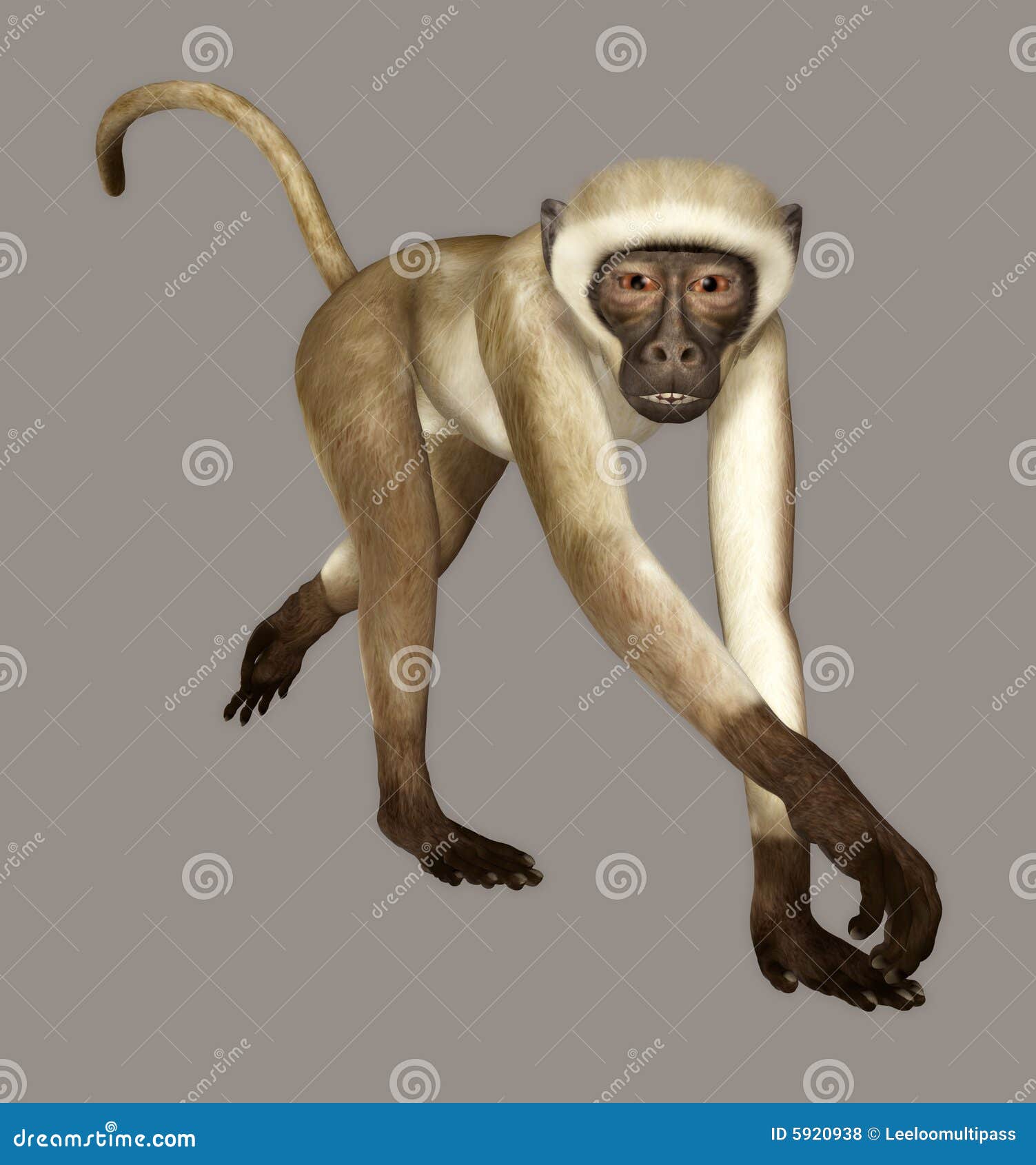 Fallhammer stock abbildung. Illustration von affe, posieren - 5920938