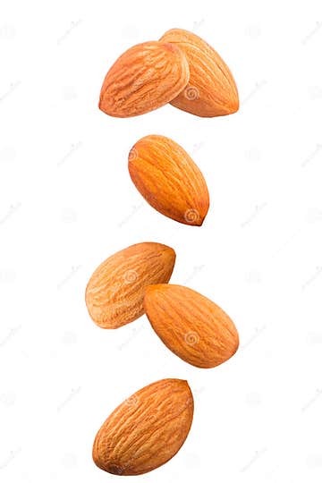 Falling Almonds Isolated on White Stock Image - Image of healthy ...