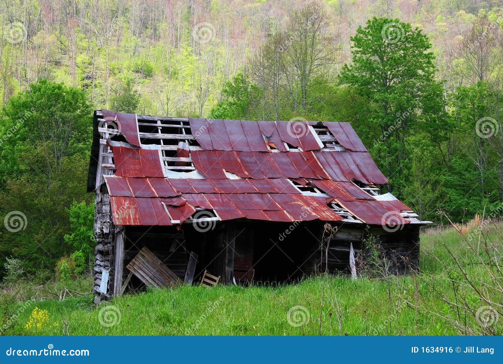 Falling Apart stock photo. Image of carolina, rustic, farming - 1634916