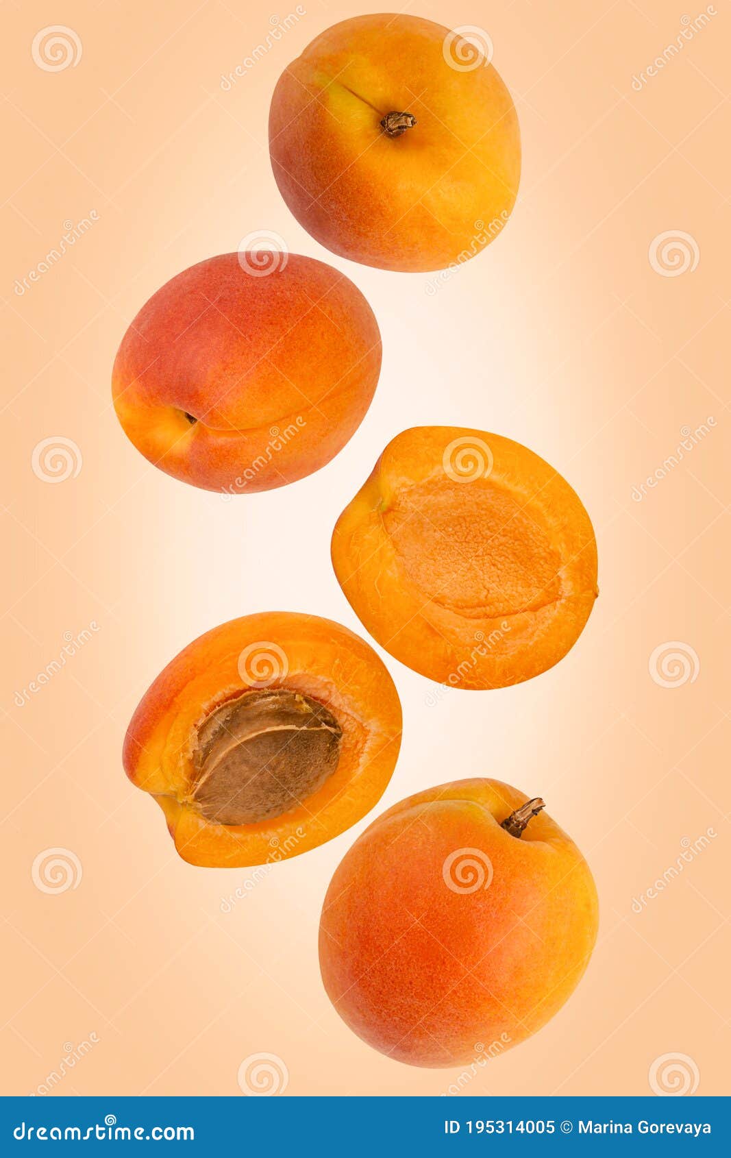 Falling Apricots Isolated on a Colored Background with Clipping Path As ...
