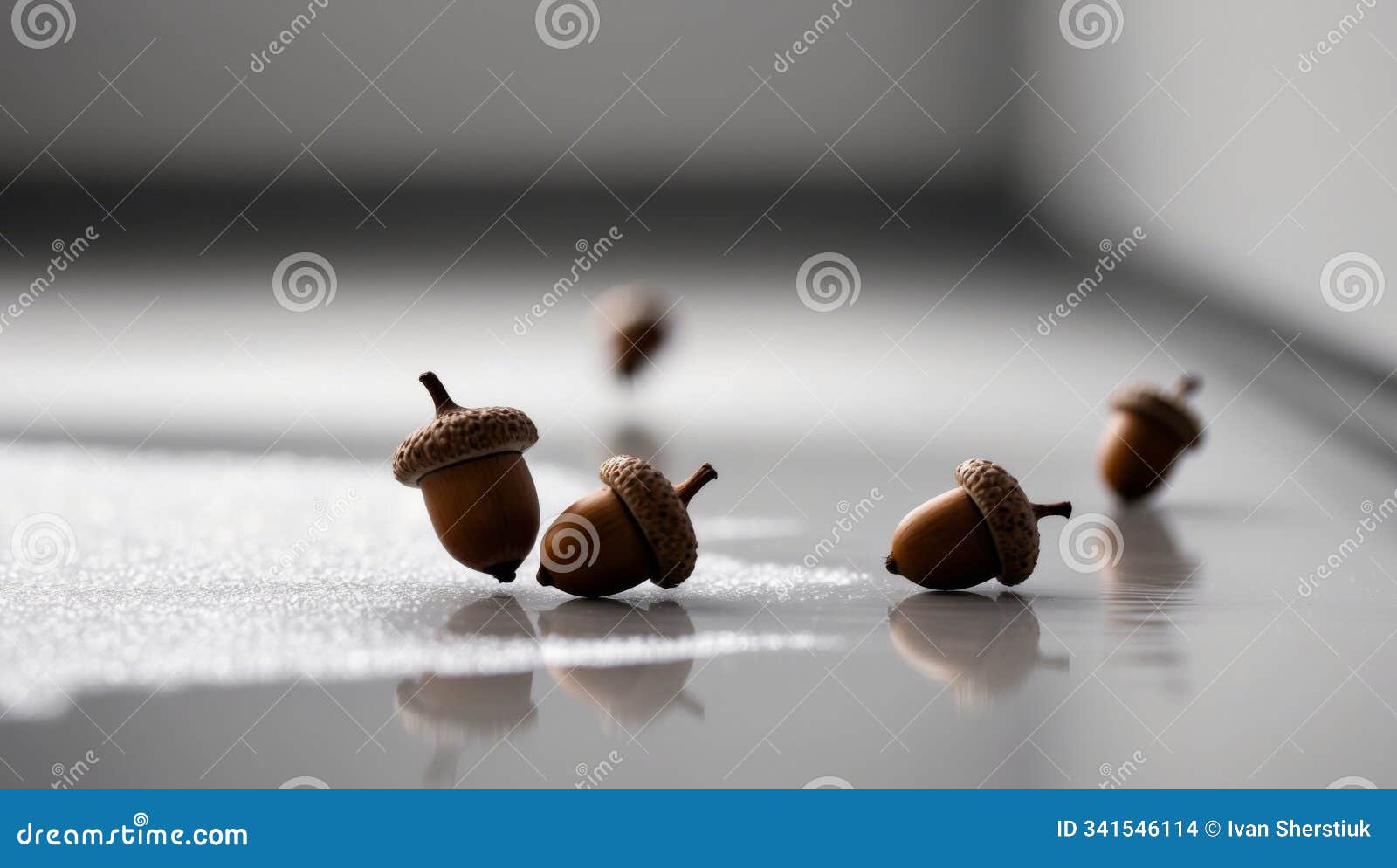 Falling Autumn Acorns Bouncing on the Ground. Stock Photo - Image of ...
