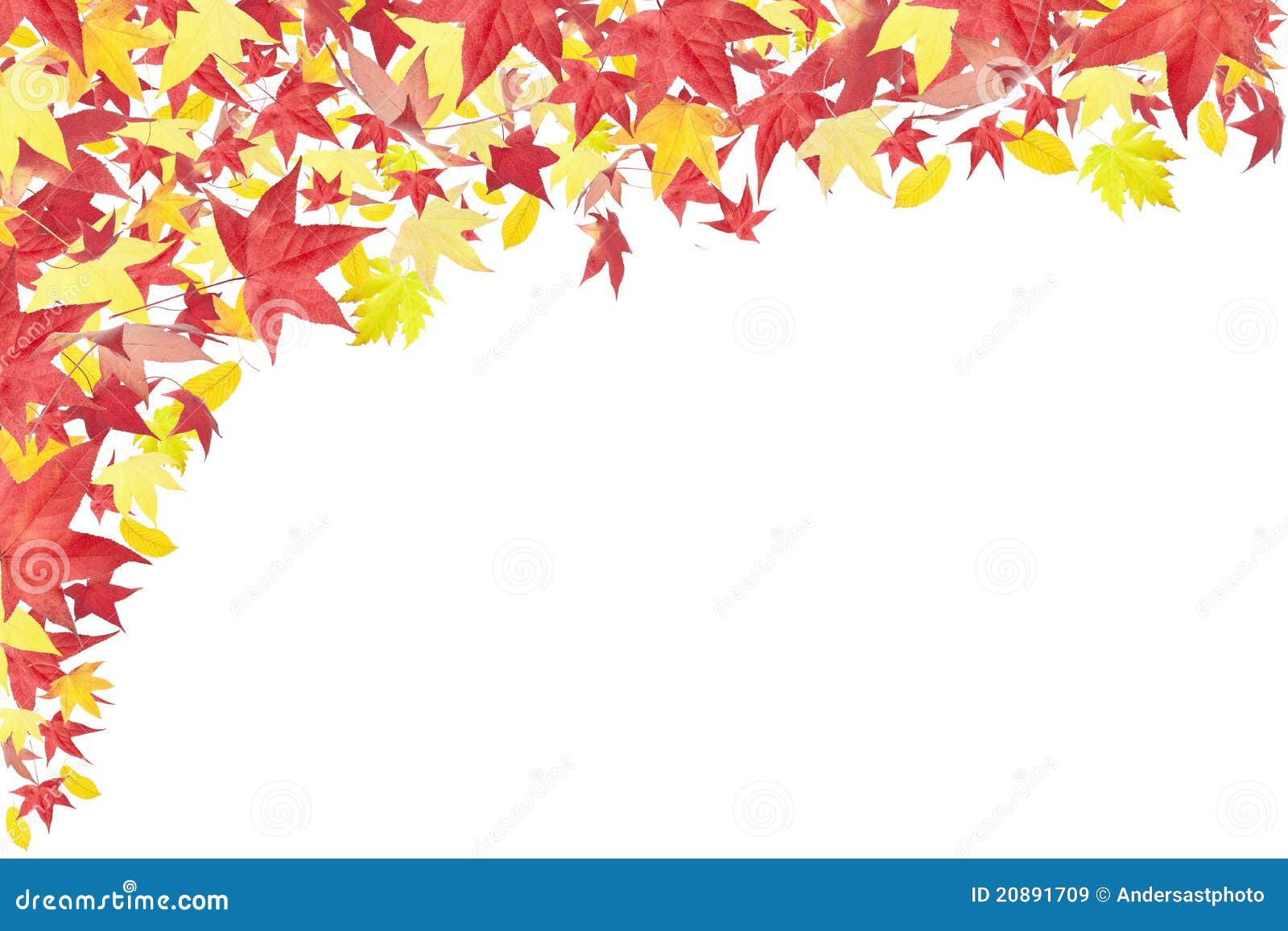 Falling Autumn Leaves Border Stock Illustration - Illustration of macro ...