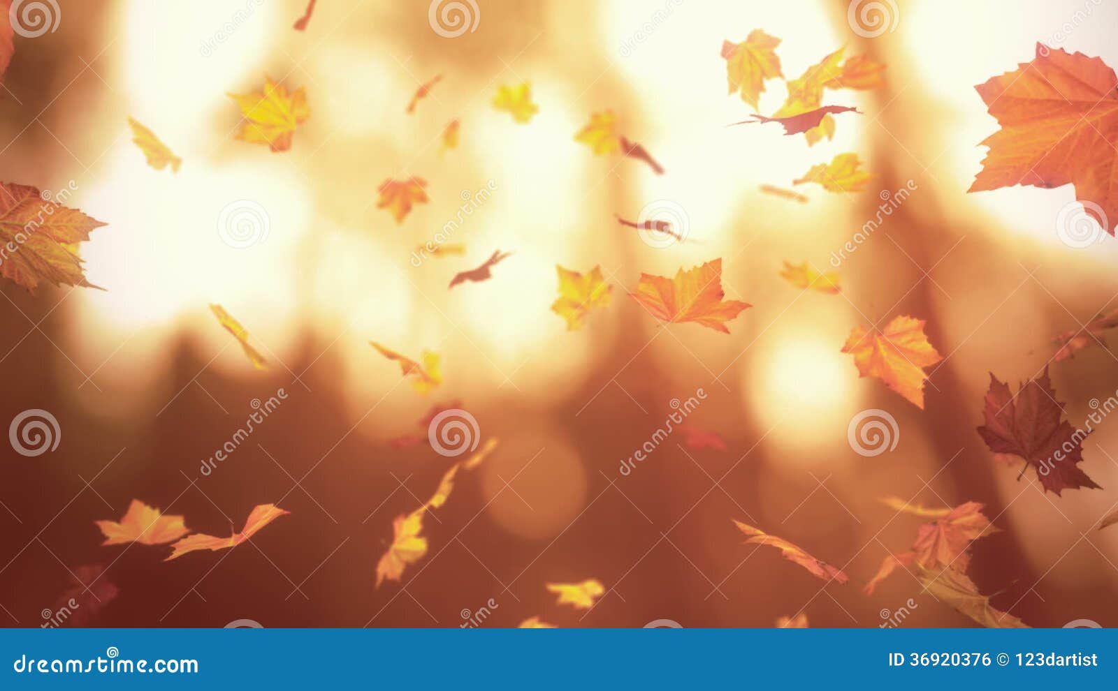 Animated Falling Leaves Background