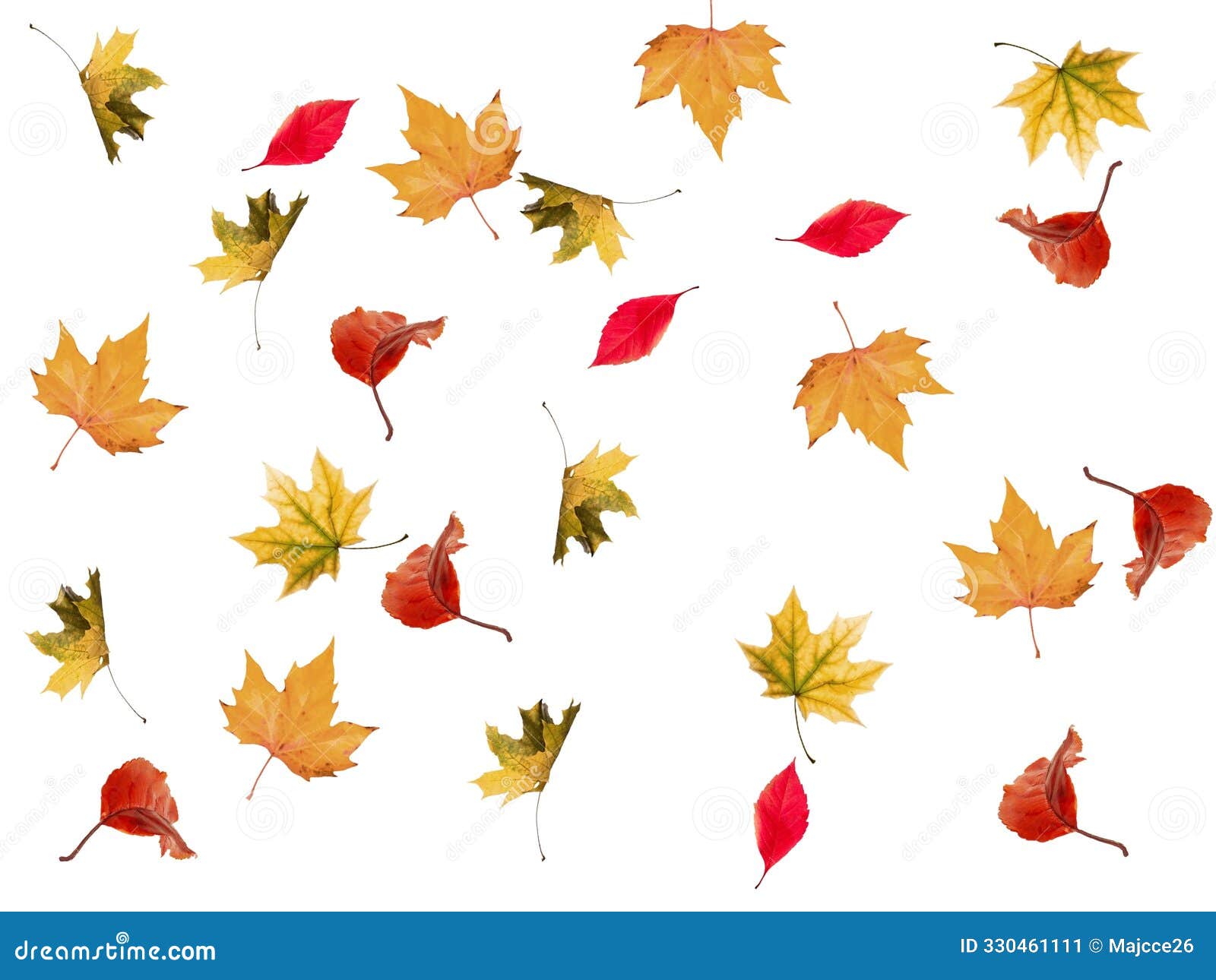 Falling Autumn Leaves Mixed Fall Colors Background Card Stock Image ...