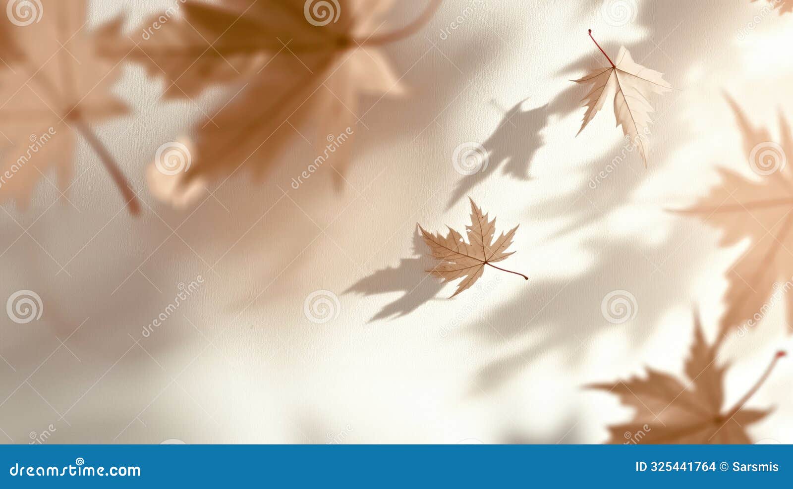 Falling Autumn Leaves on Soft White Background with Gentle Shadows ...