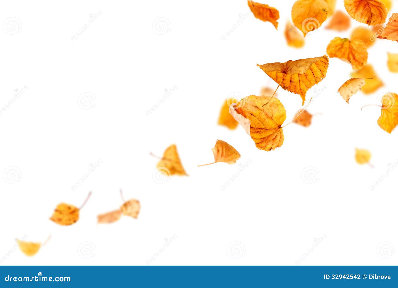 Falling Autumn Leaves stock photo. Image of design, fall - 32942542