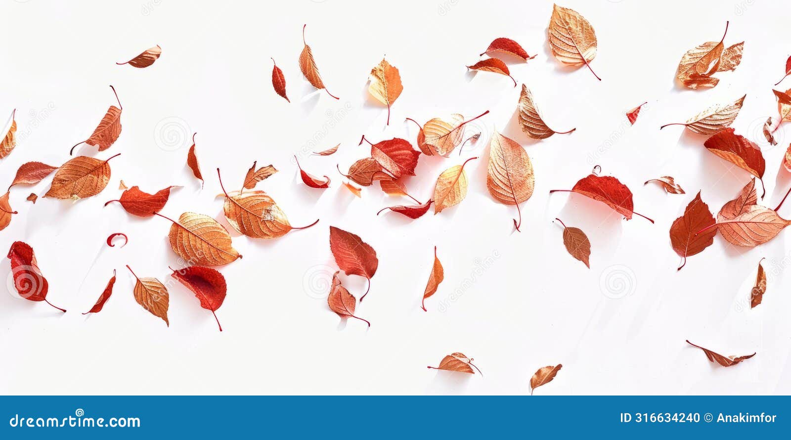 Falling Autumn Leaves in the Wind Stock Photo - Image of forest, autumn ...