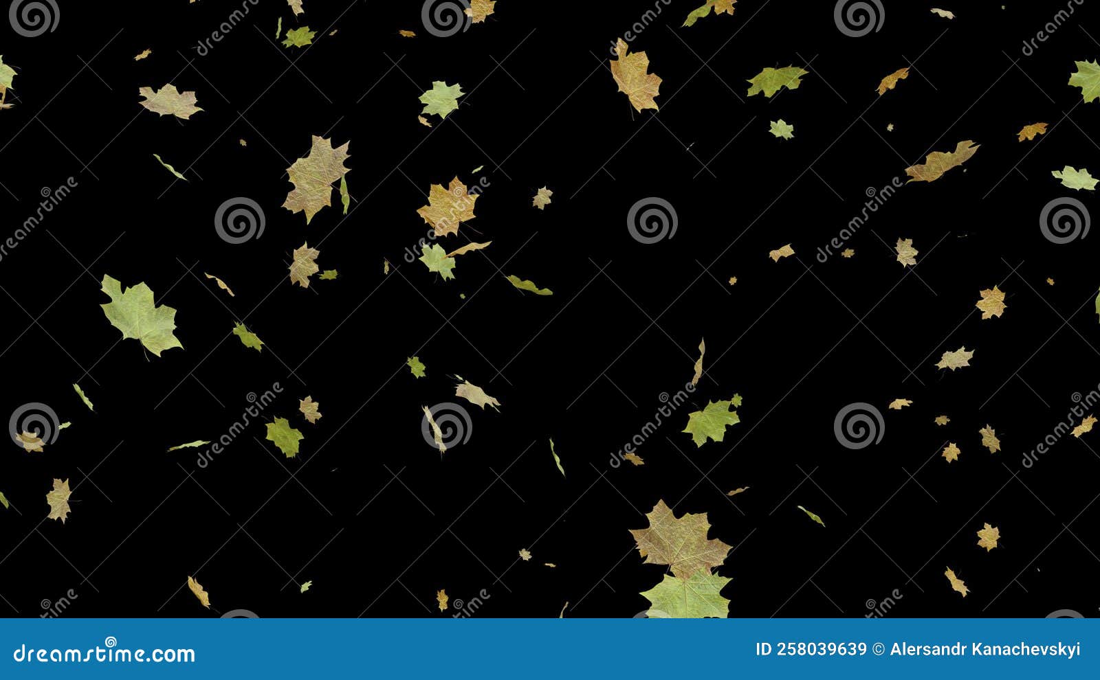Falling Autumn Maple Leaves 60 Frame Per Second. 3D Rendering Animation ...