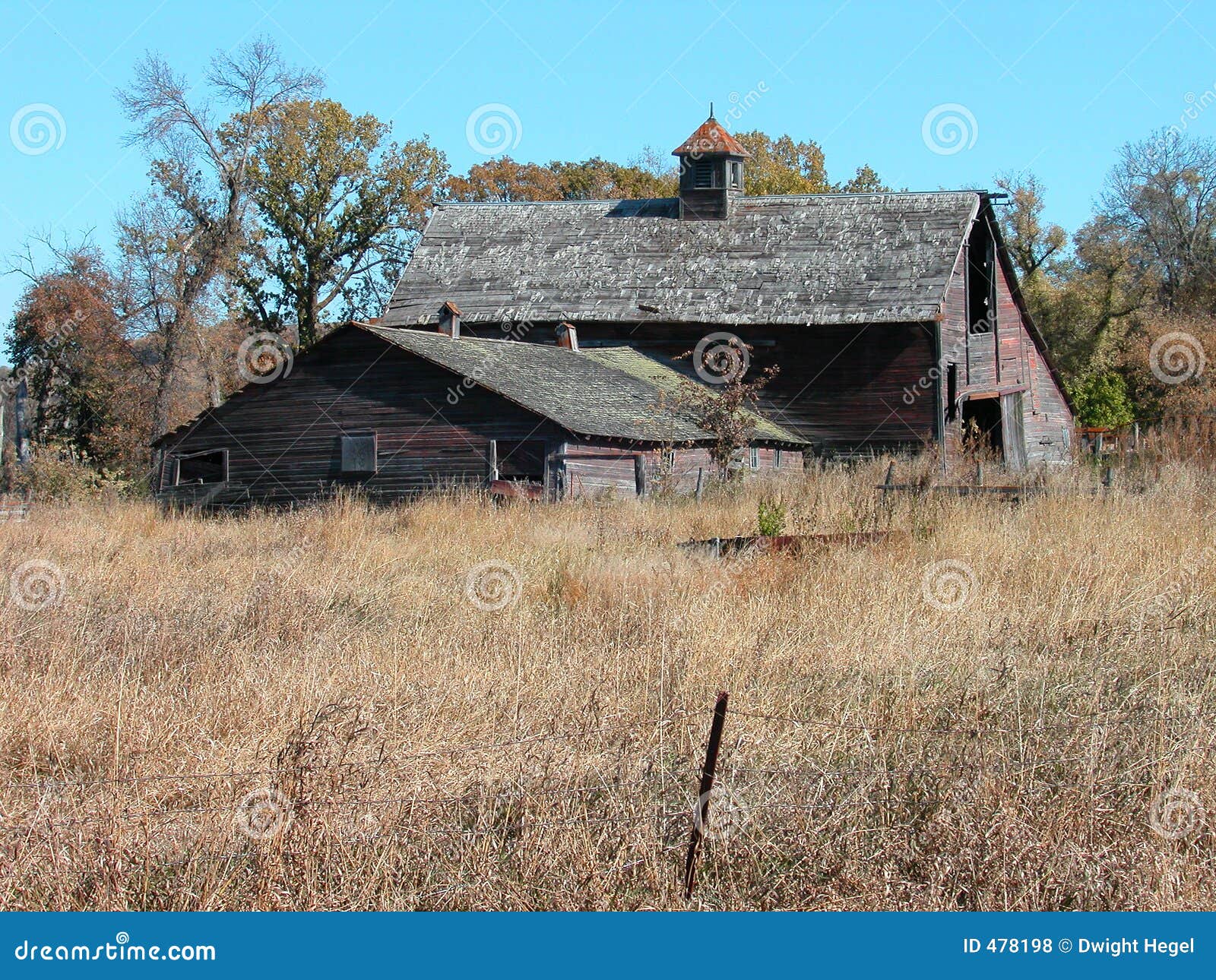 Falling Barn Picture. Image: 478198