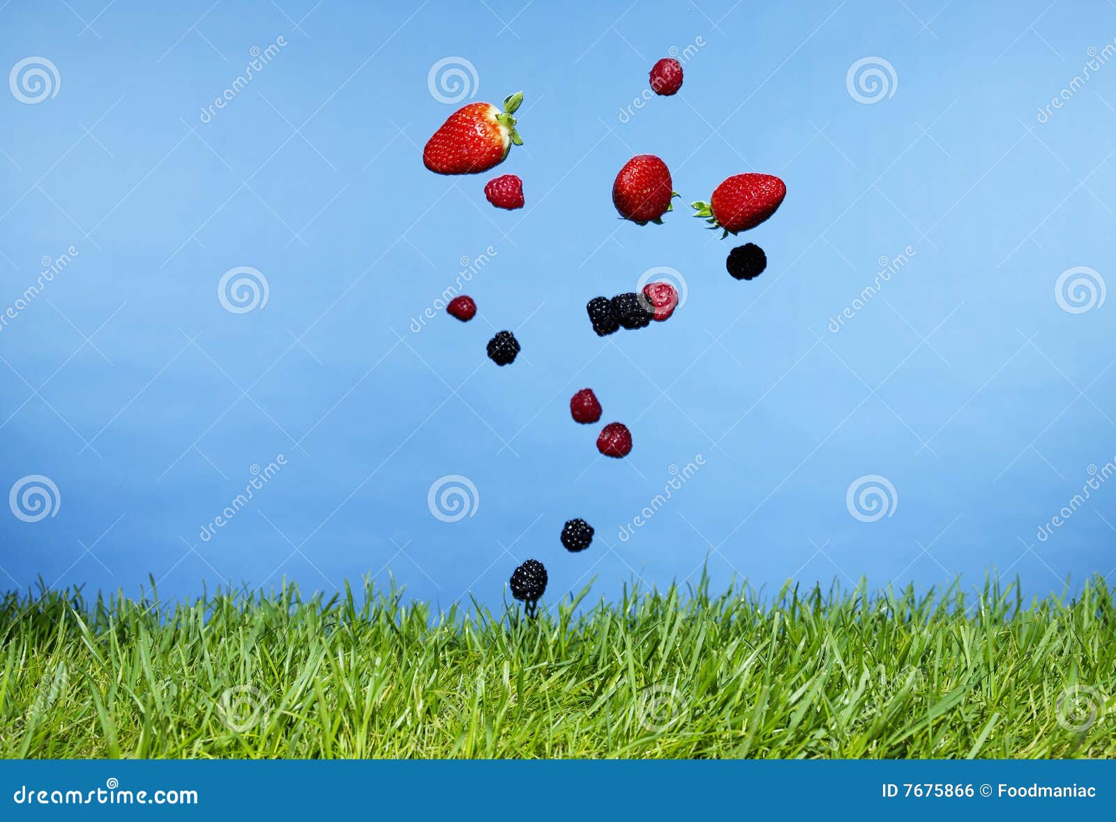 Falling berries stock photo. Image of food, strawberries - 7675866