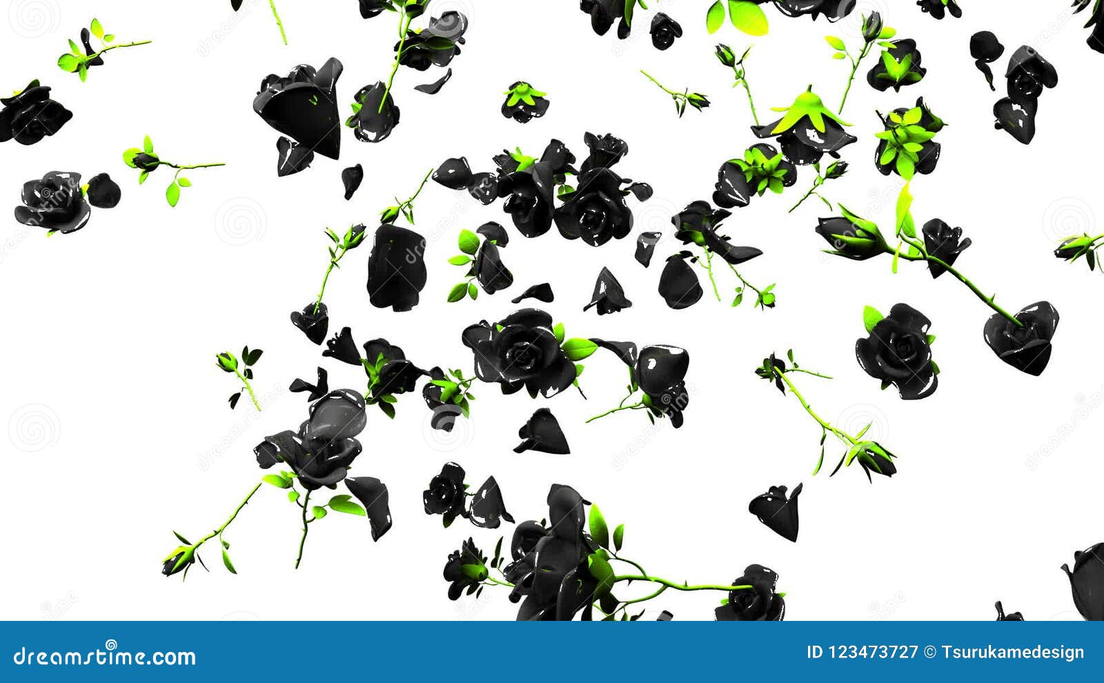 Falling Black Roses on White Background Stock Video - Video of vain ...