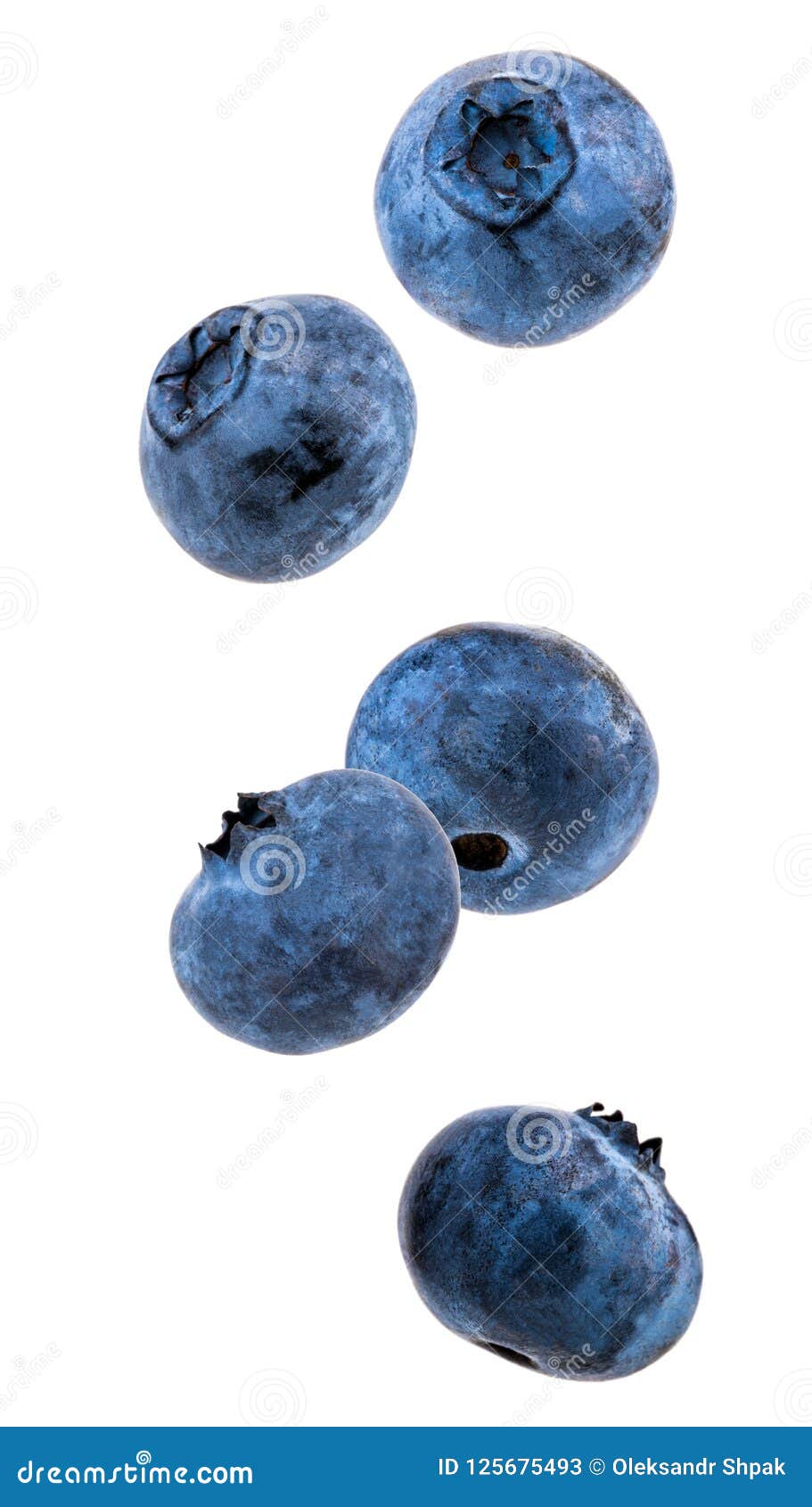 Falling Blueberries Isolated on a White Background Stock Image - Image ...