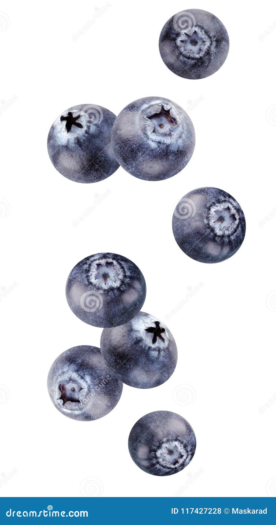 Falling Blueberries Isolated on White Background. Stock Photo - Image ...