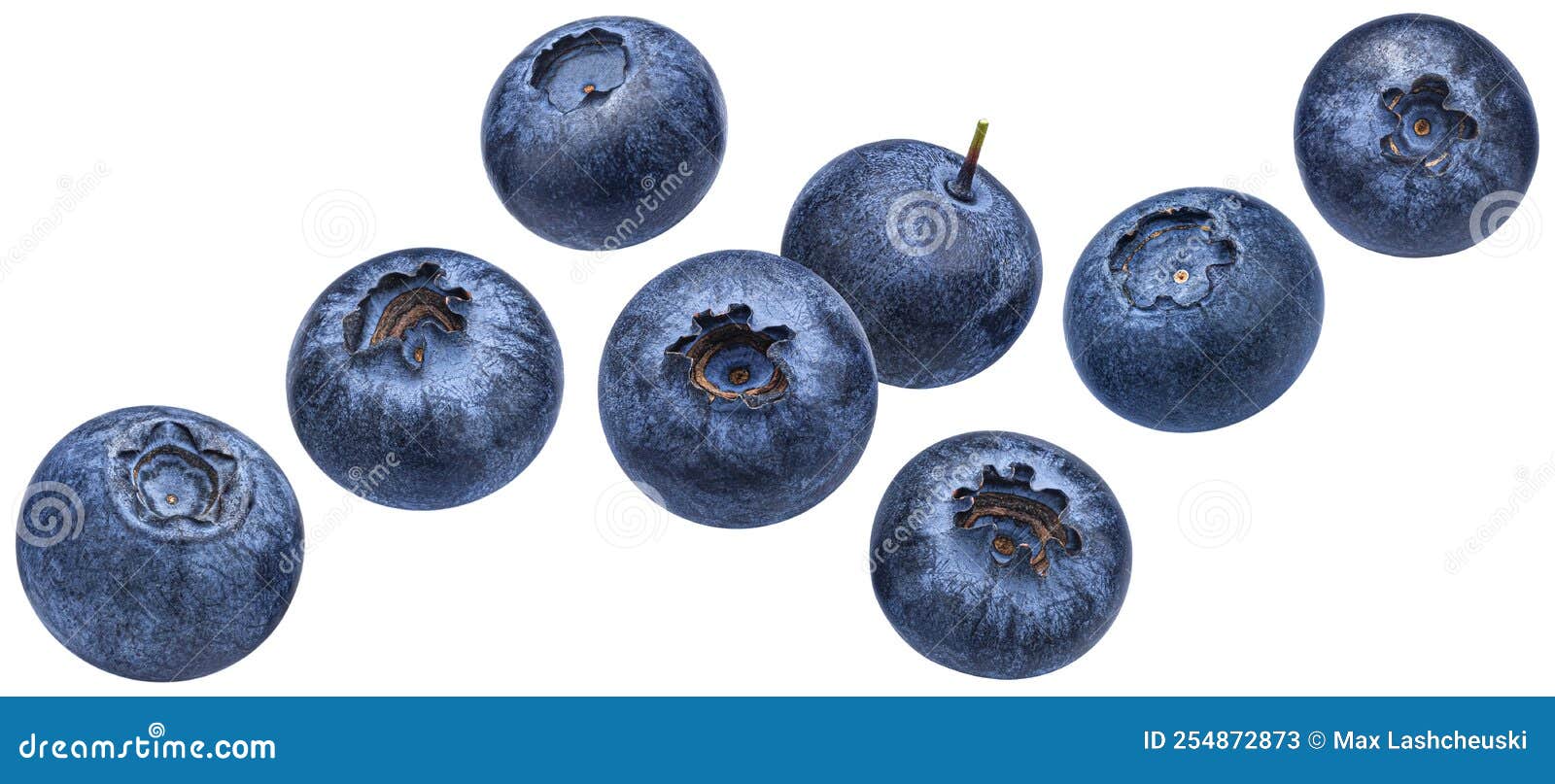 Falling Blueberry Isolated on White Background Stock Image - Image of ...