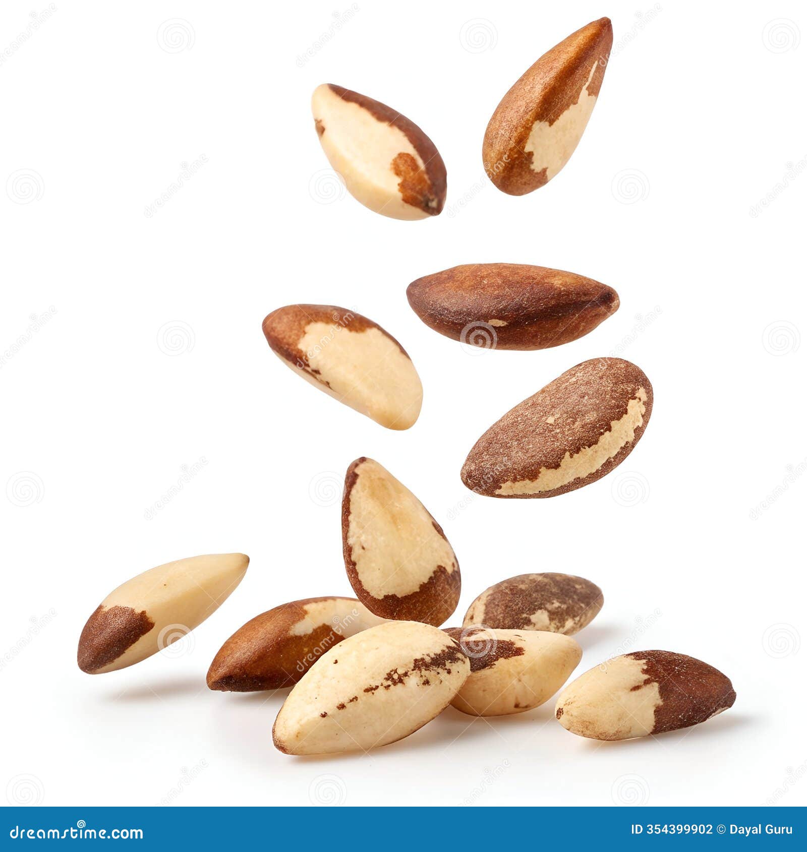 Falling Brazilian Nuts Isolated on White Background Stock Illustration ...