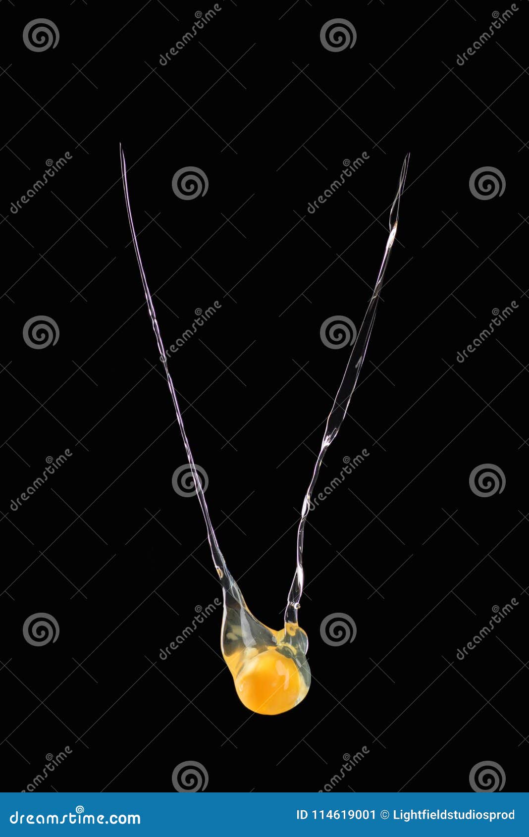 Falling chicken egg stock image. Image of texture, studio - 114619001