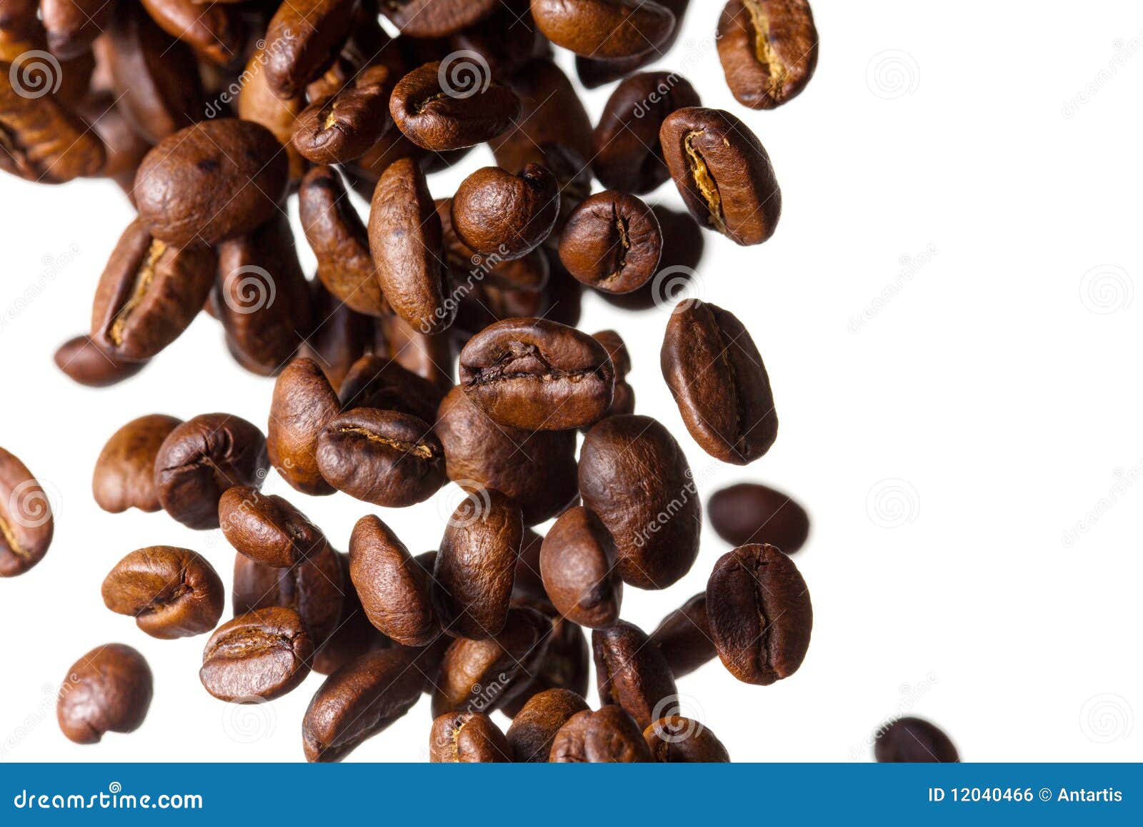 Falling coffee beans stock photo. Image of color, healthy - 12040466