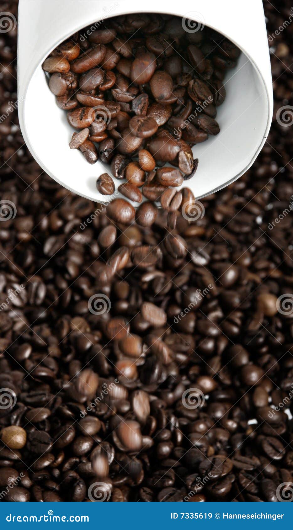 Falling coffee beans stock image. Image of flavour, lively - 7335619