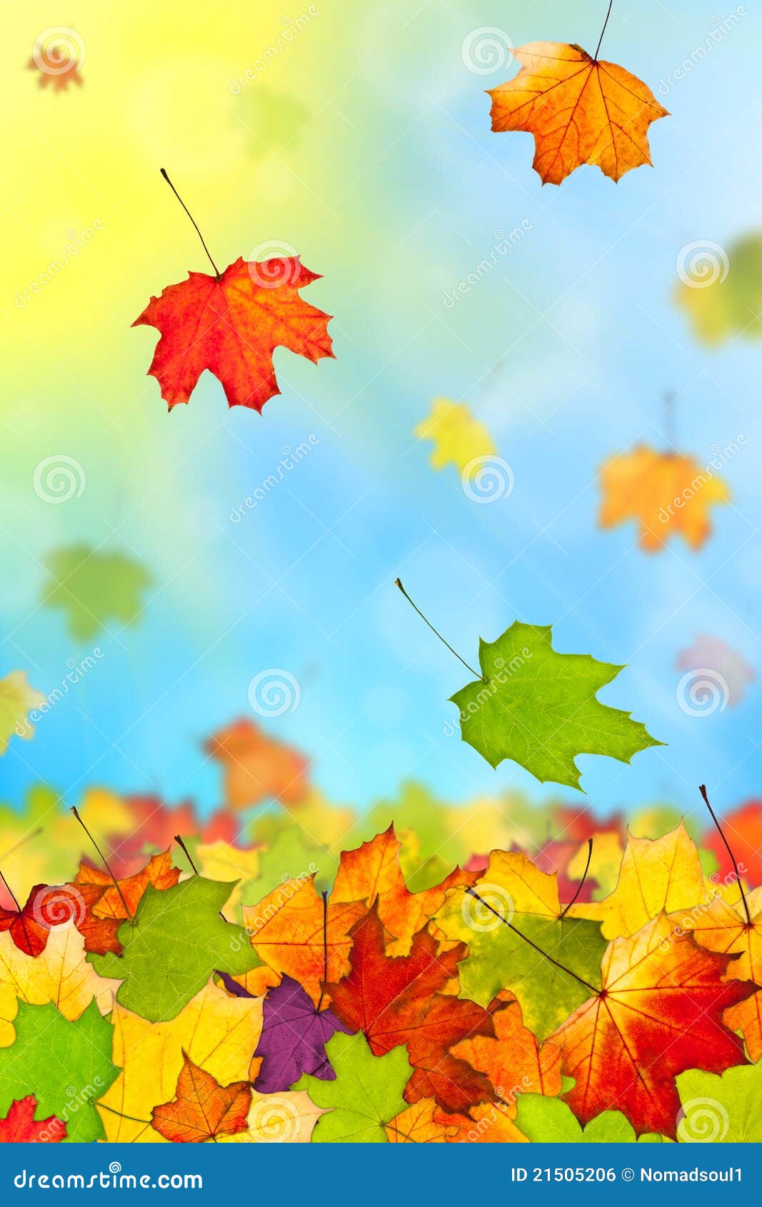 Falling Colorful Autumn Leaves Stock Photo - Image of motion, focus ...