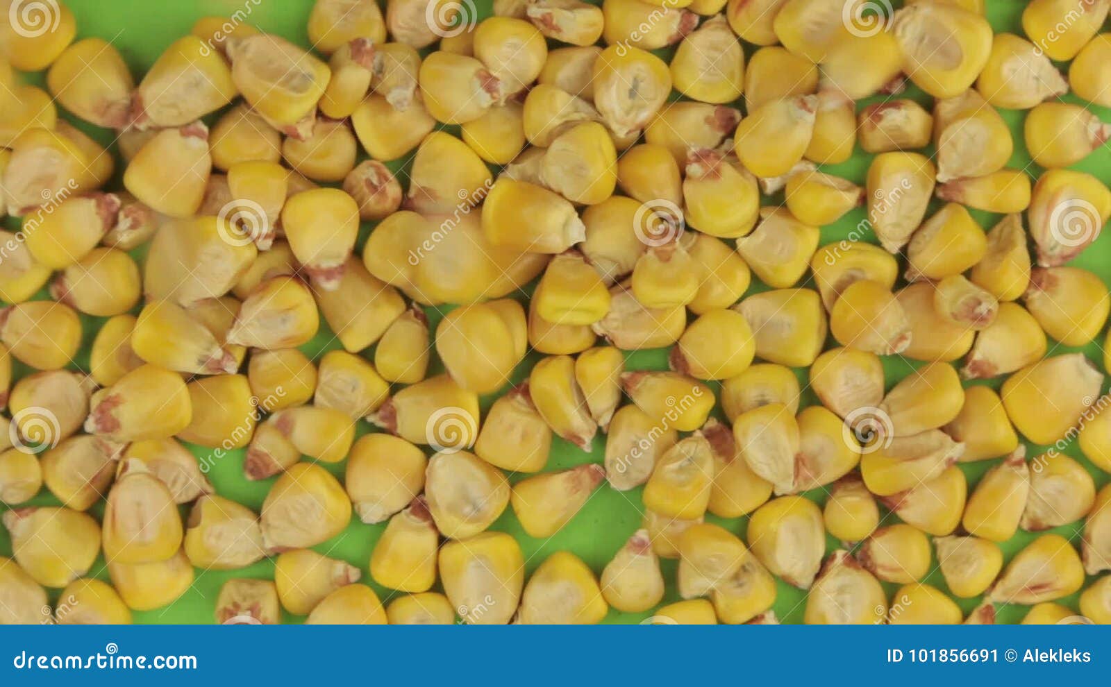 Falling Corn Grains on a Rotating Green Screen, Isolated. Stock Video ...