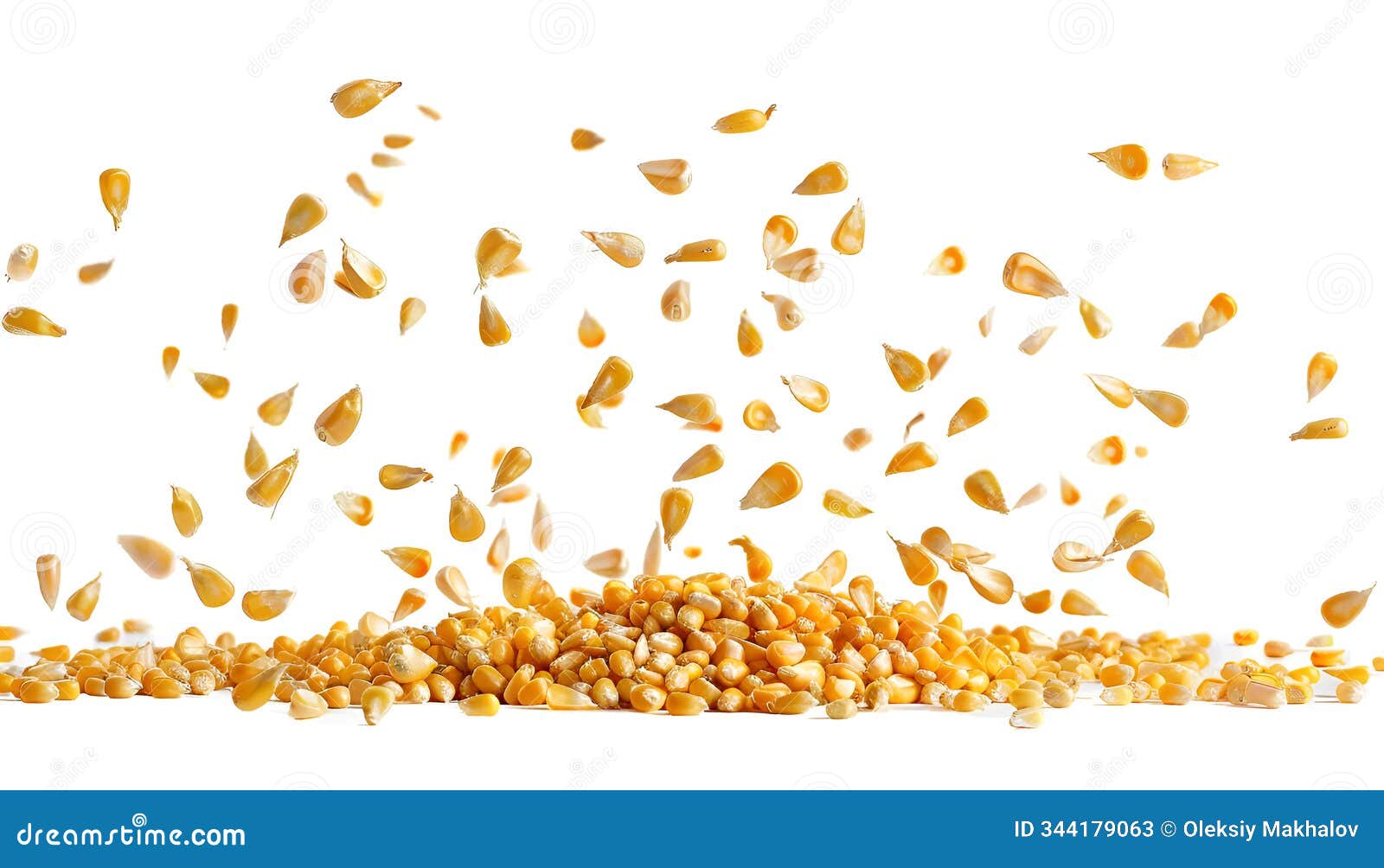 Falling Corn Seeds Isolated on White Background with Clipping Path ...
