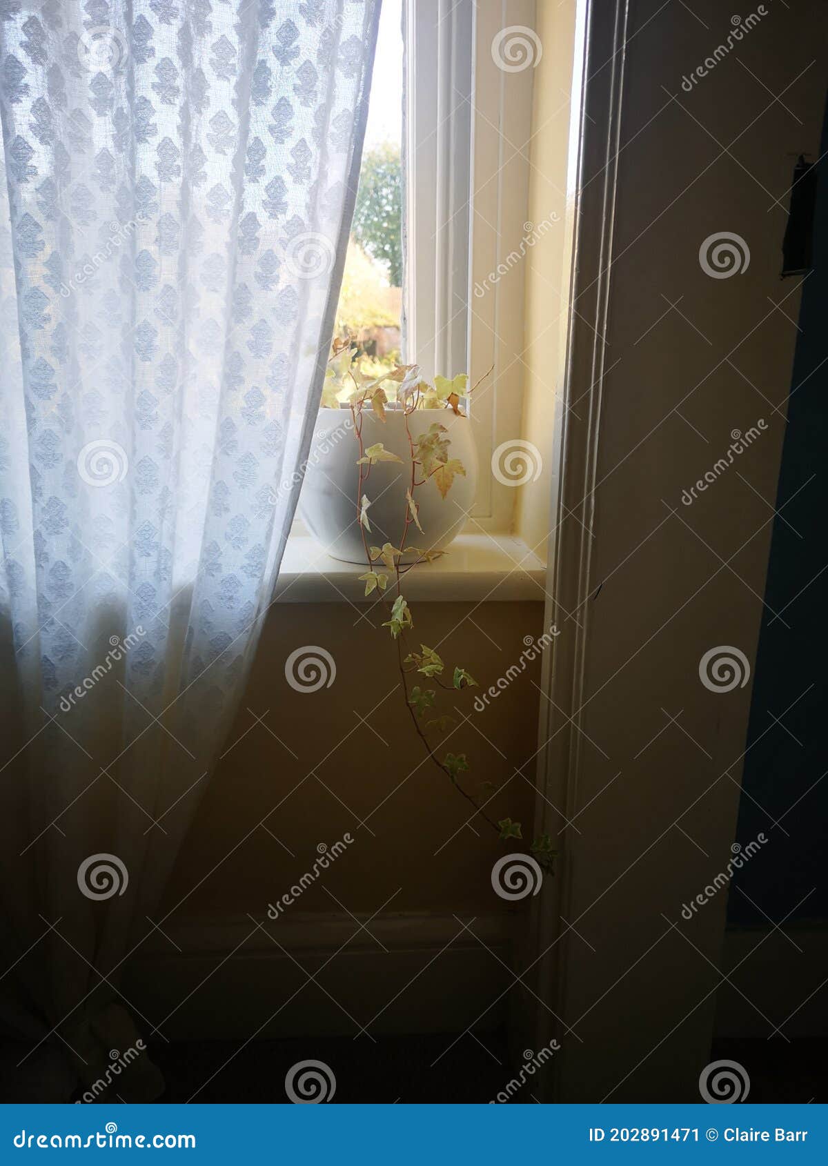 Falling down stock image. Image of yellow, home, green - 202891471