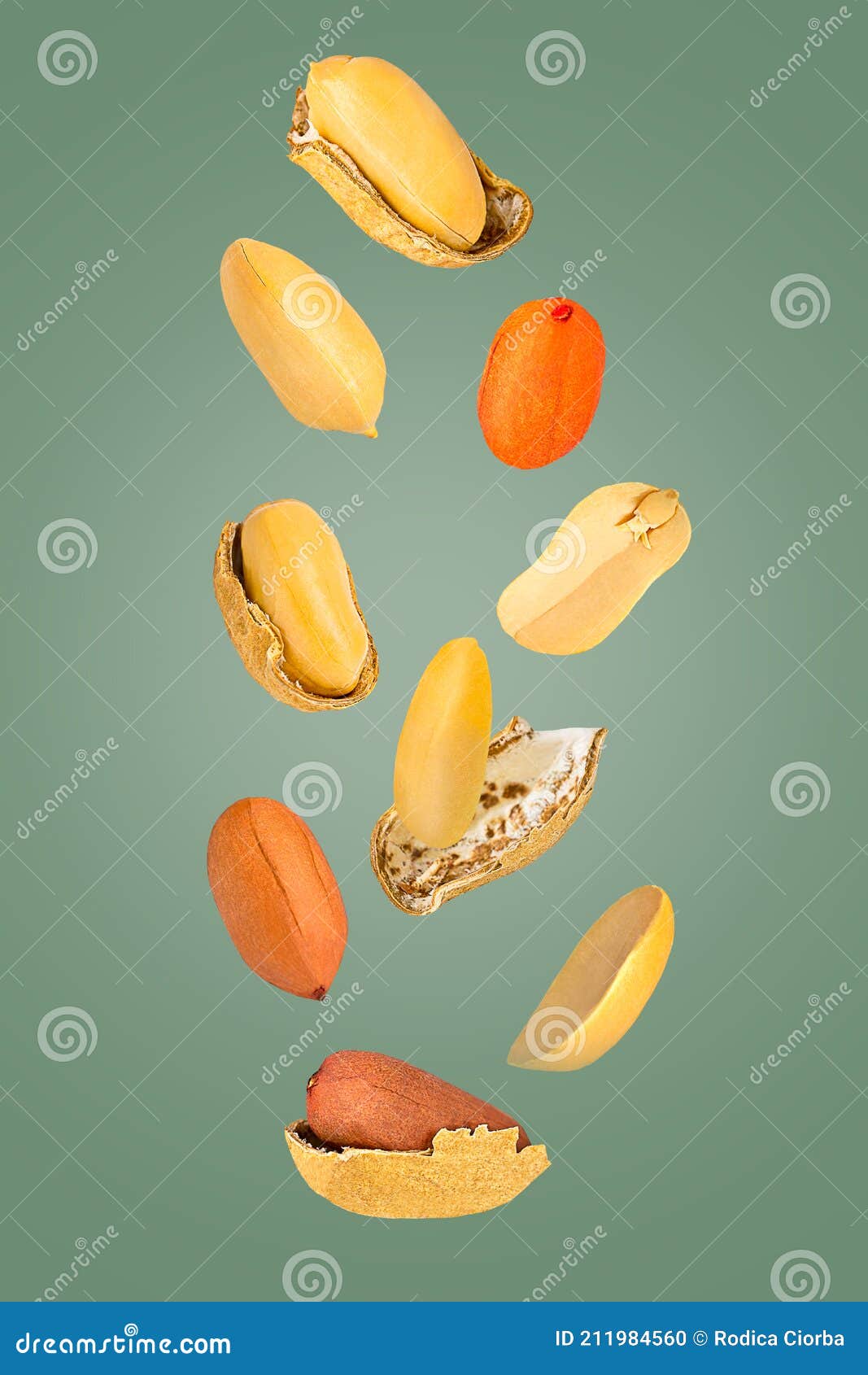 Falling Down Peanut Isolated on Trendy Coloured Background Stock Photo ...