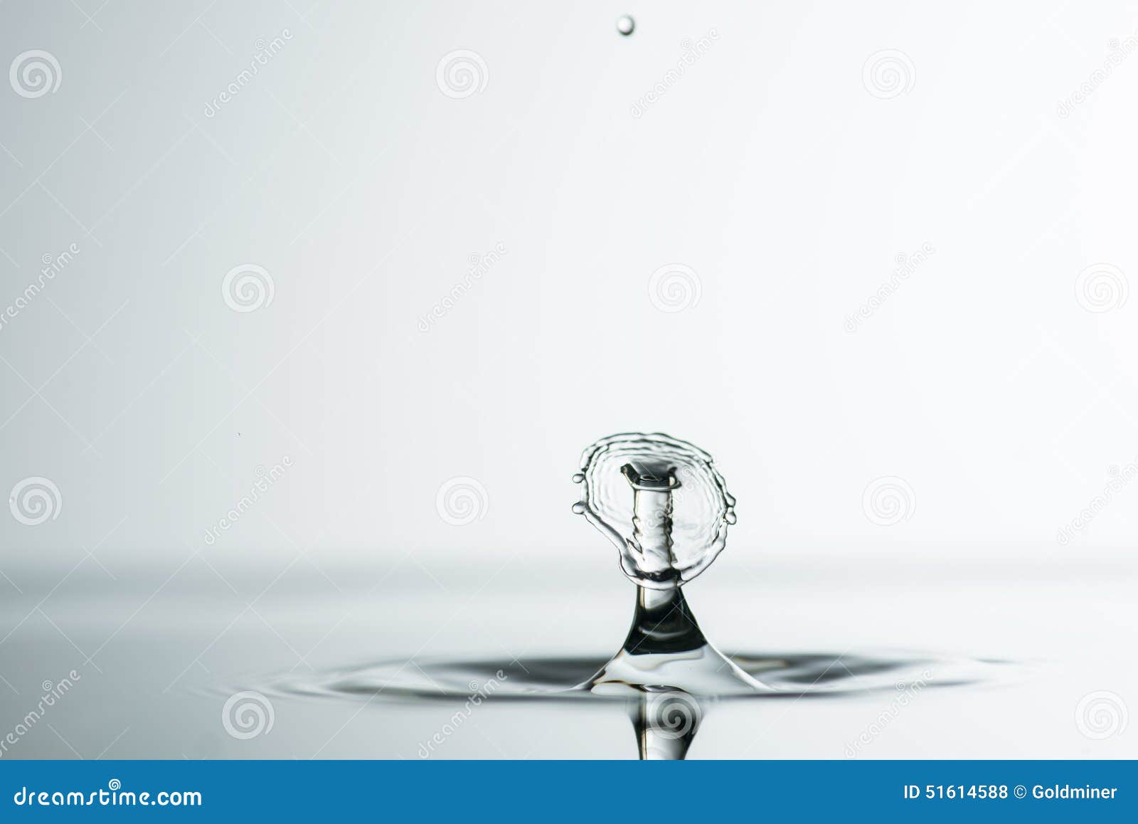 Falling down water drops stock photo. Image of raindrop - 51614588