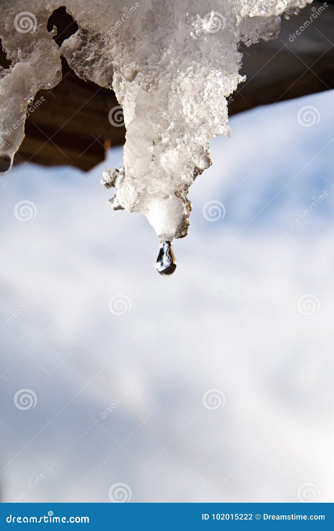 Falling drop stock photo. Image of frozen, frost, cold - 102015222