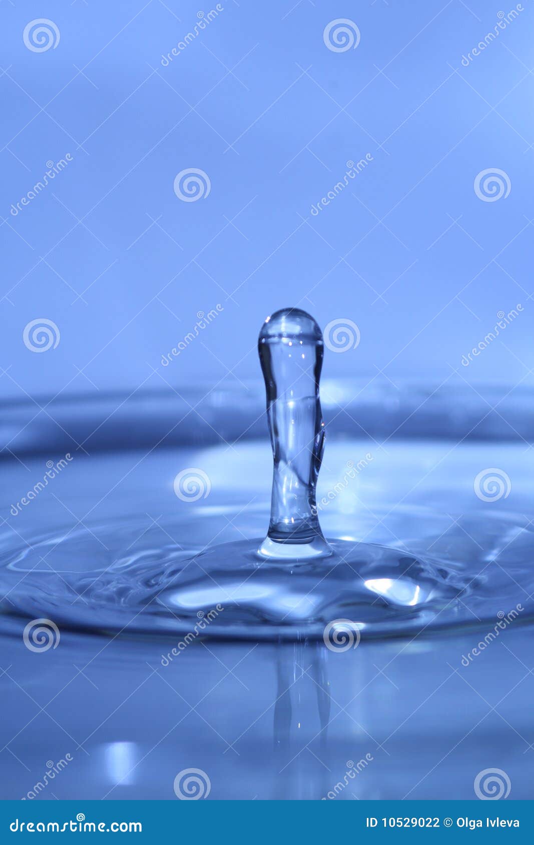 Falling drop of water stock photo. Image of splashes - 10529022