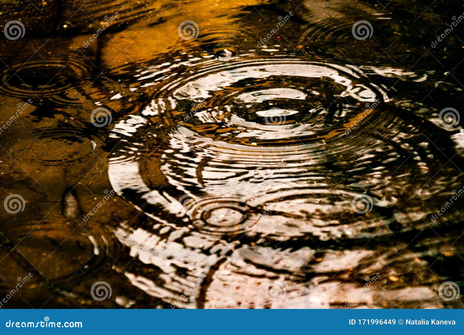 Falling Drop of Water in a Puddle Stock Image - Image of puddle, water ...