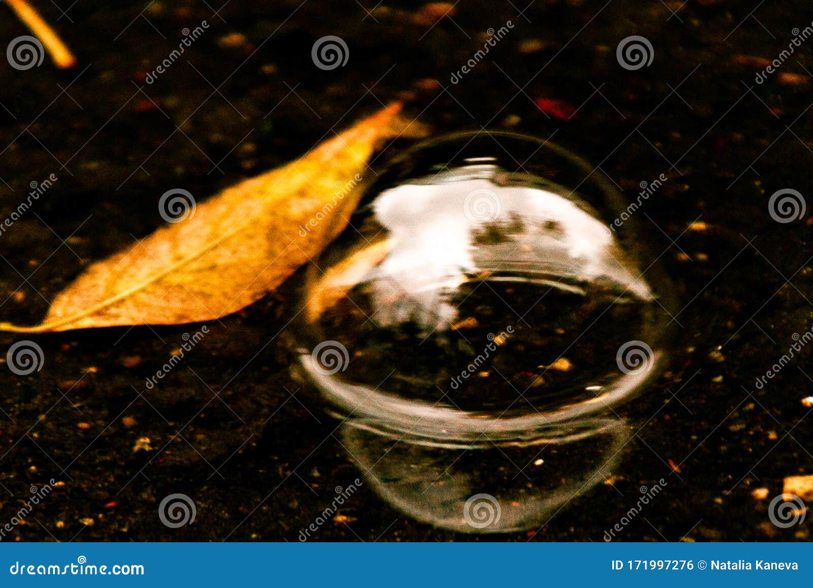 Falling Drop of Water in a Puddle Stock Photo - Image of puddle ...