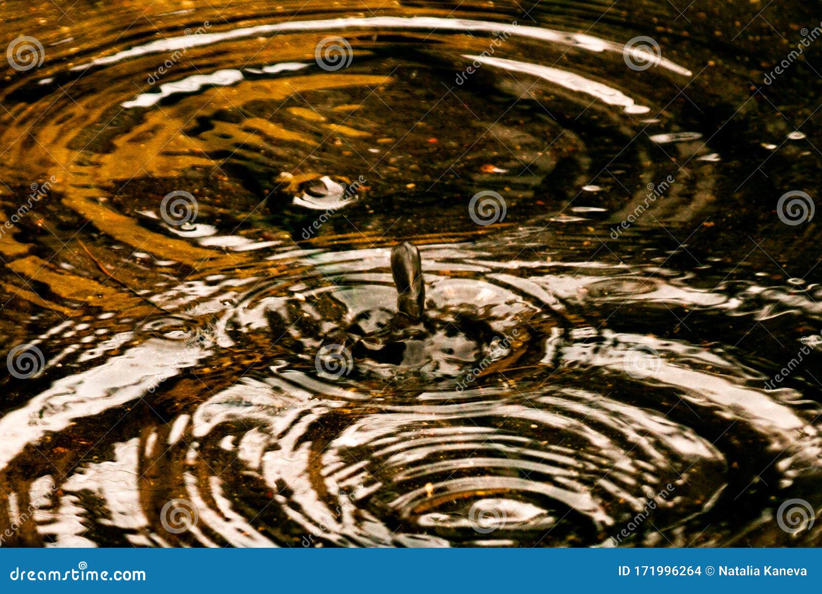 Falling Drop of Water in a Puddle Stock Photo - Image of droplet ...