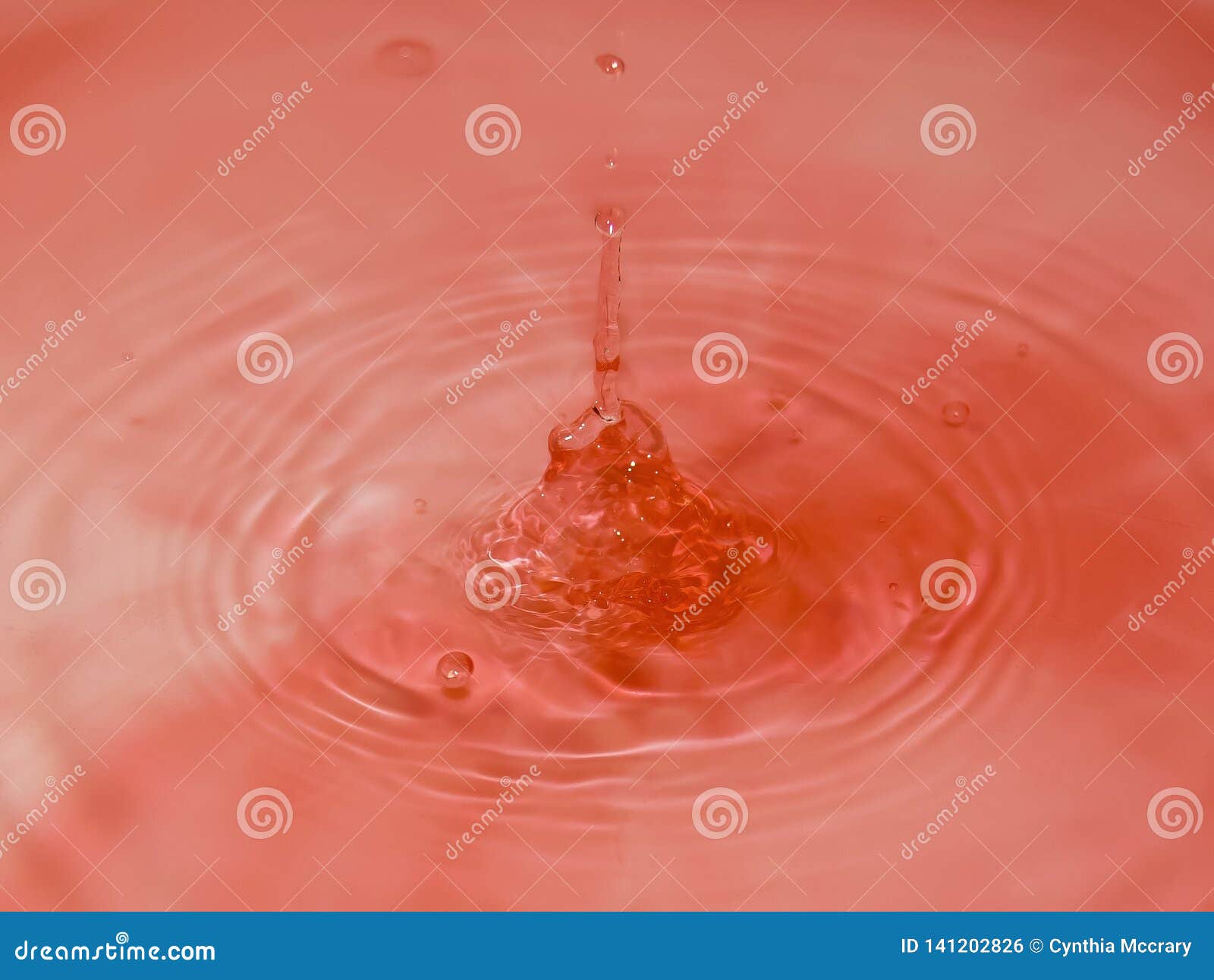 Splash from Water Droplets stock photo. Image of splashed - 141202826