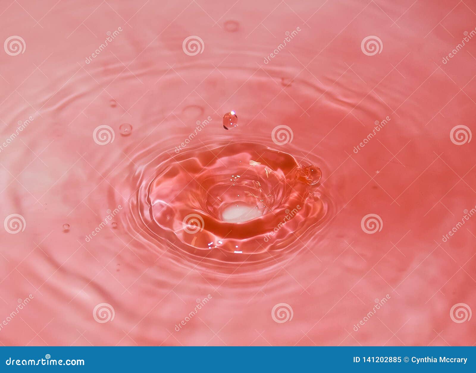 Splash from Water Droplets stock image. Image of liquid - 141202885