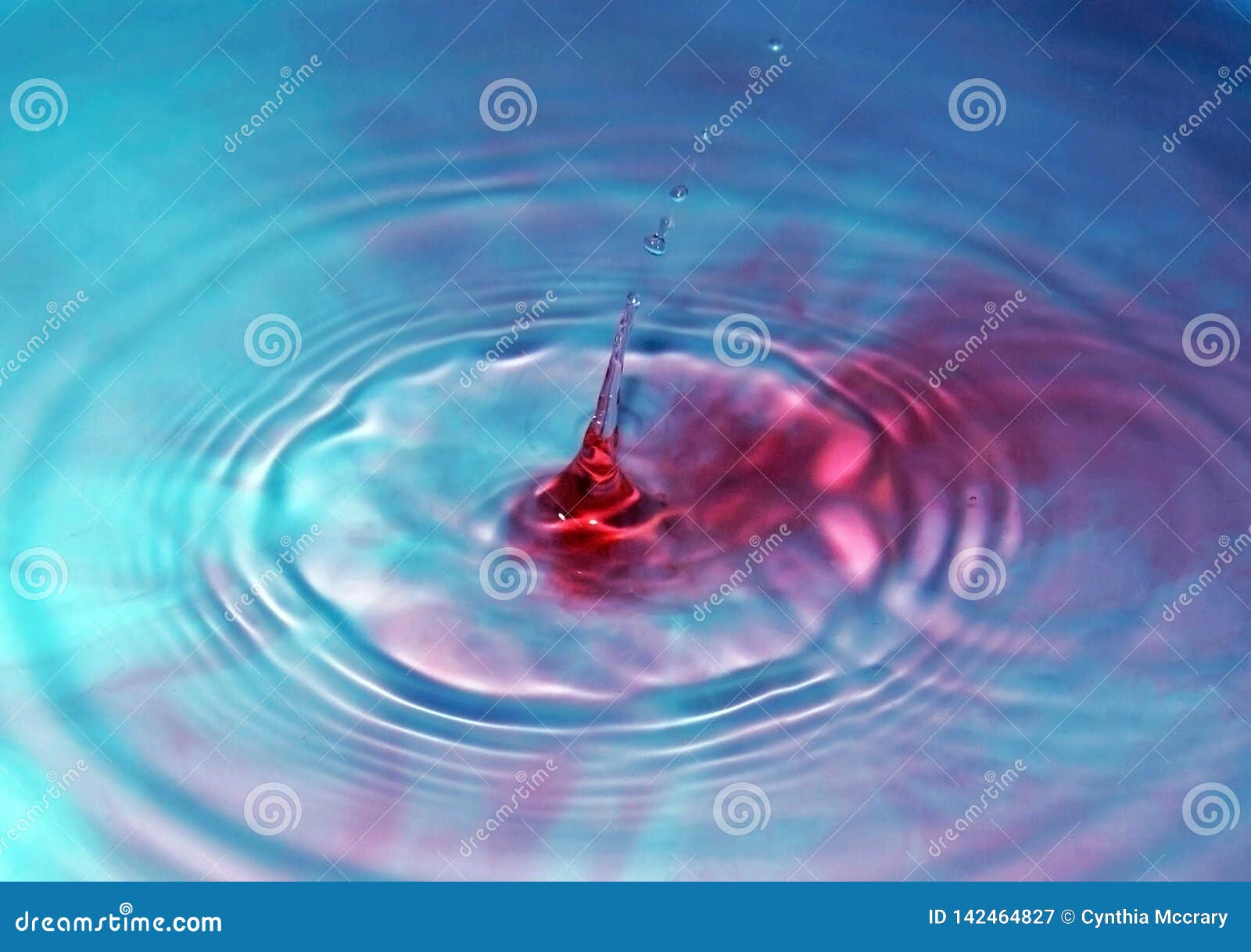 Splash from Water Droplets stock image. Image of water - 142464827