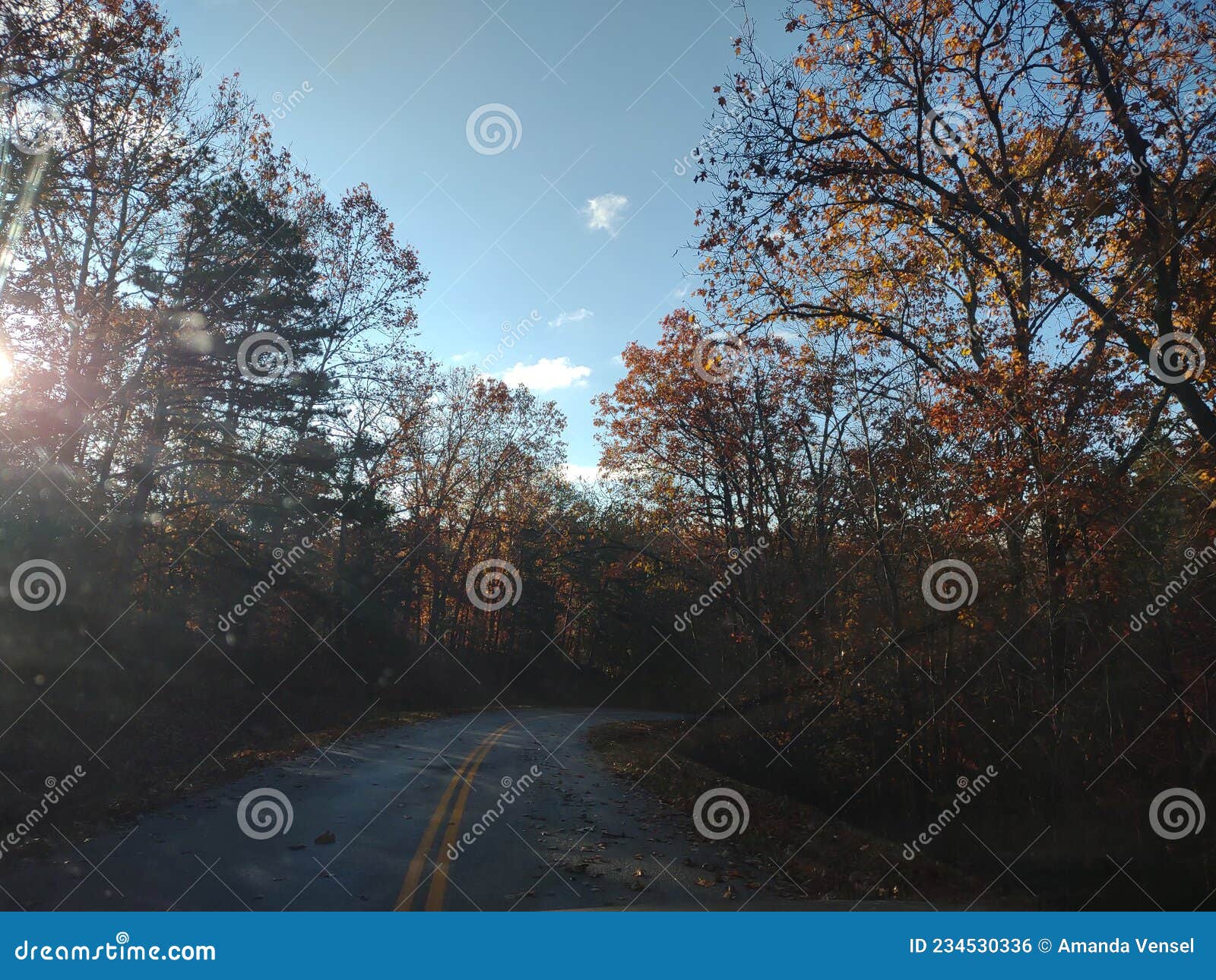 Falling into fall stock photo. Image of drive, sunshine - 234530336
