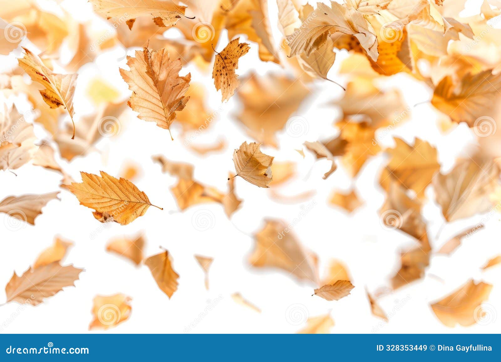 Falling Fall Leaves in the Air on a White Background Stock Image ...