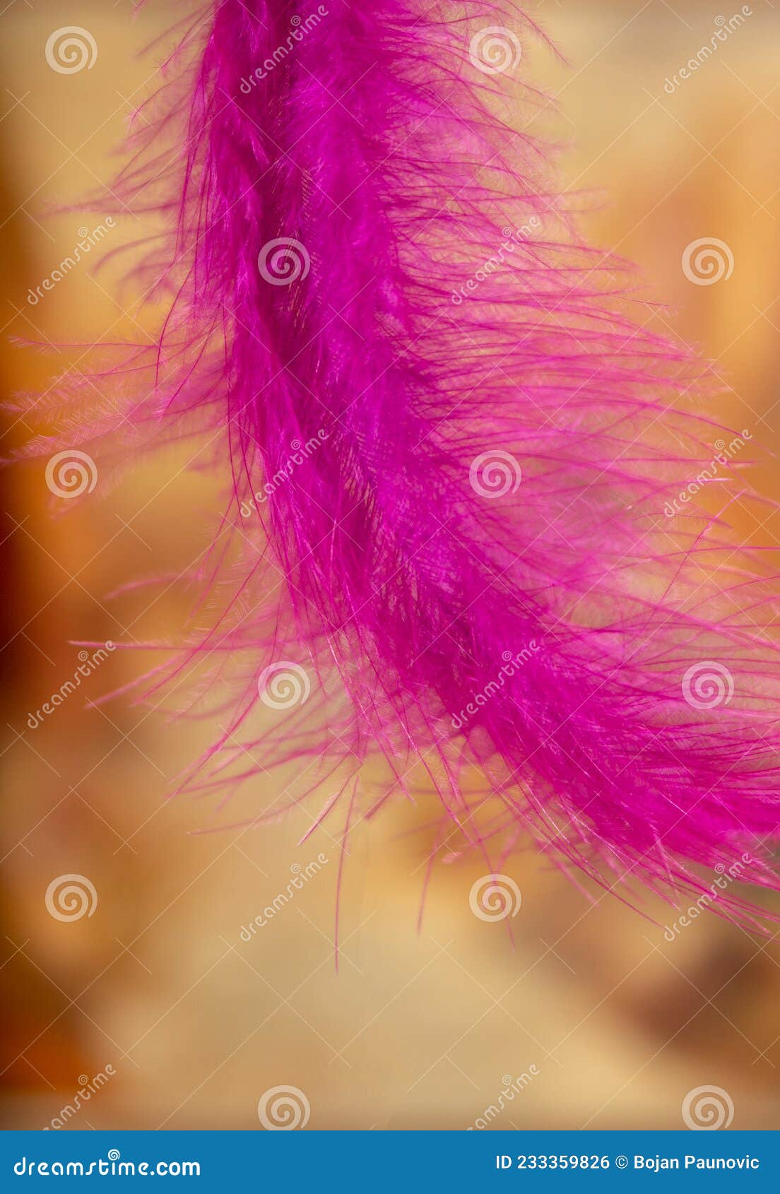 Falling Feather on an Autumn Background. Stock Photo - Image of feather ...
