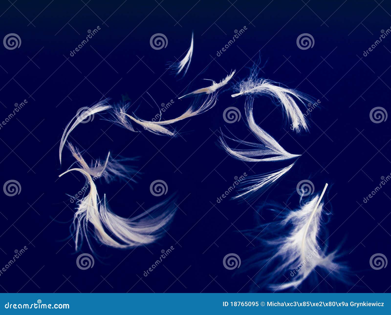 Falling feathers stock image. Image of liquid, cool, drop - 18765095