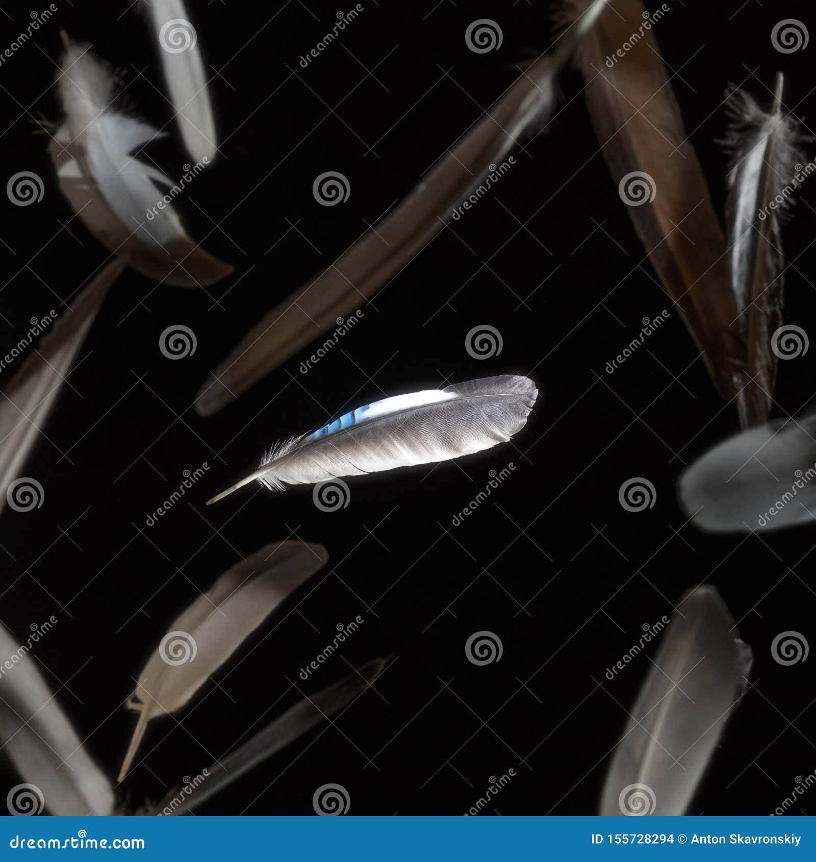 Falling Feathers Abstract Pattern. Stock Photo - Image of decoration ...