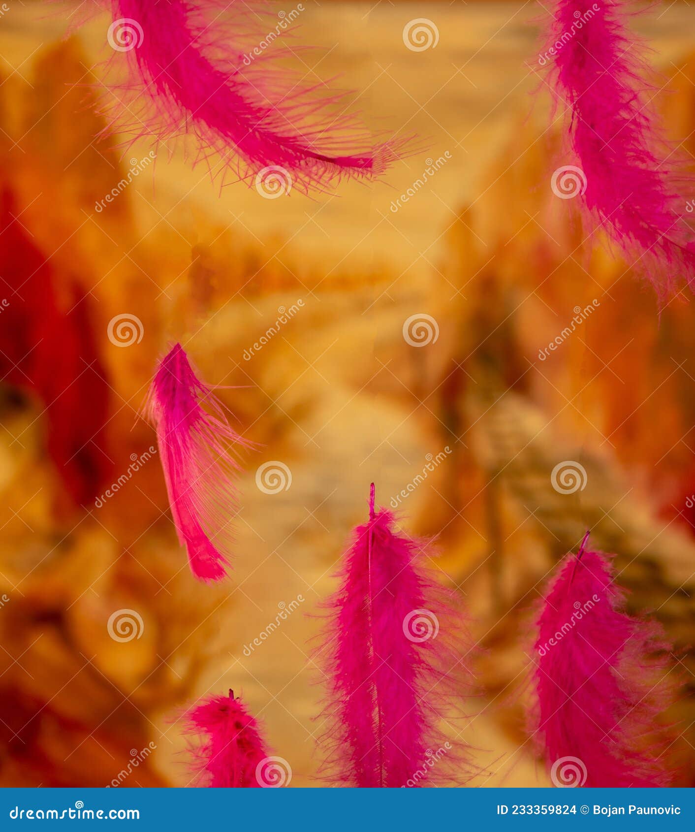Falling Feathers on an Autumn Background. Stock Photo - Image of ...