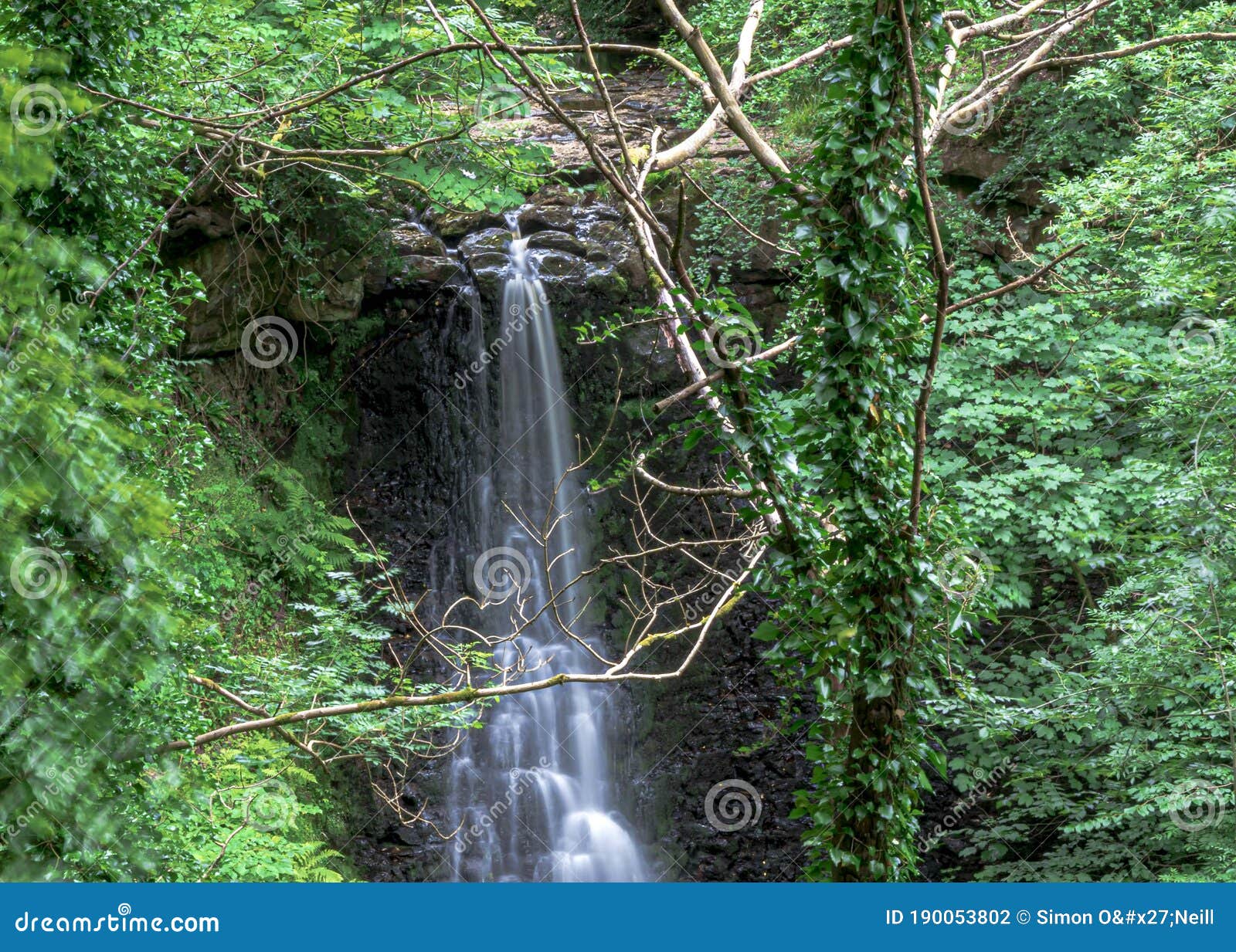 Falling Foss Waterfall Whitby North Yorkshire Stock Photo - Image of ...