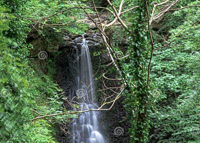 Falling Foss Waterfall Whitby North Yorkshire Stock Photo - Image of ...