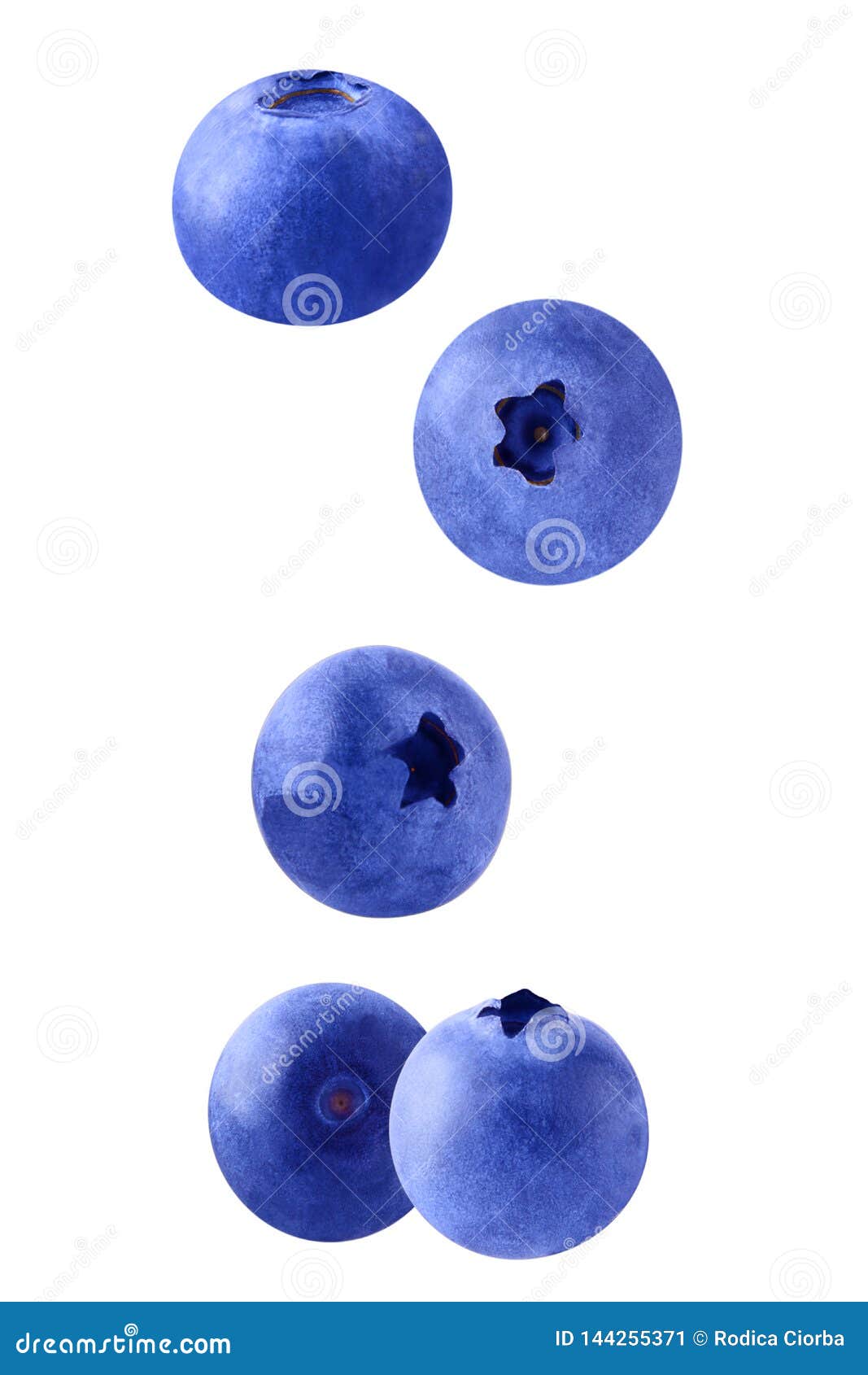 Falling Fresh Berries Isolated on White Background Stock Image - Image ...