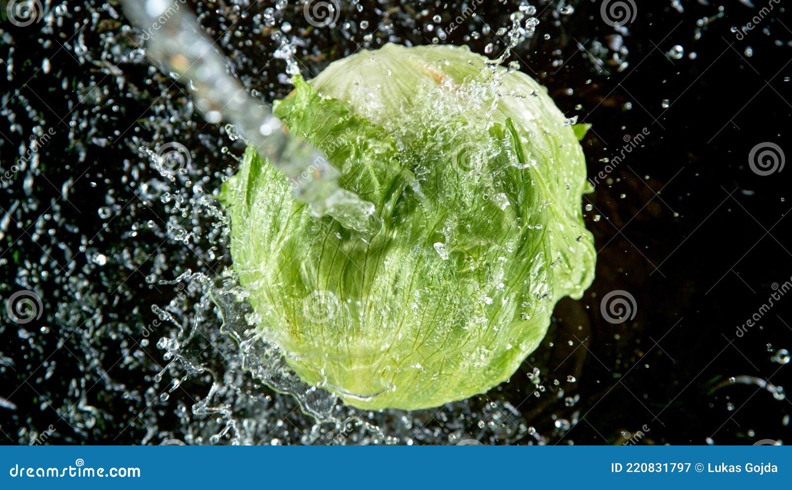 Falling Fresh Harvested Lettuce, Water Splash during Impact Stock Image ...