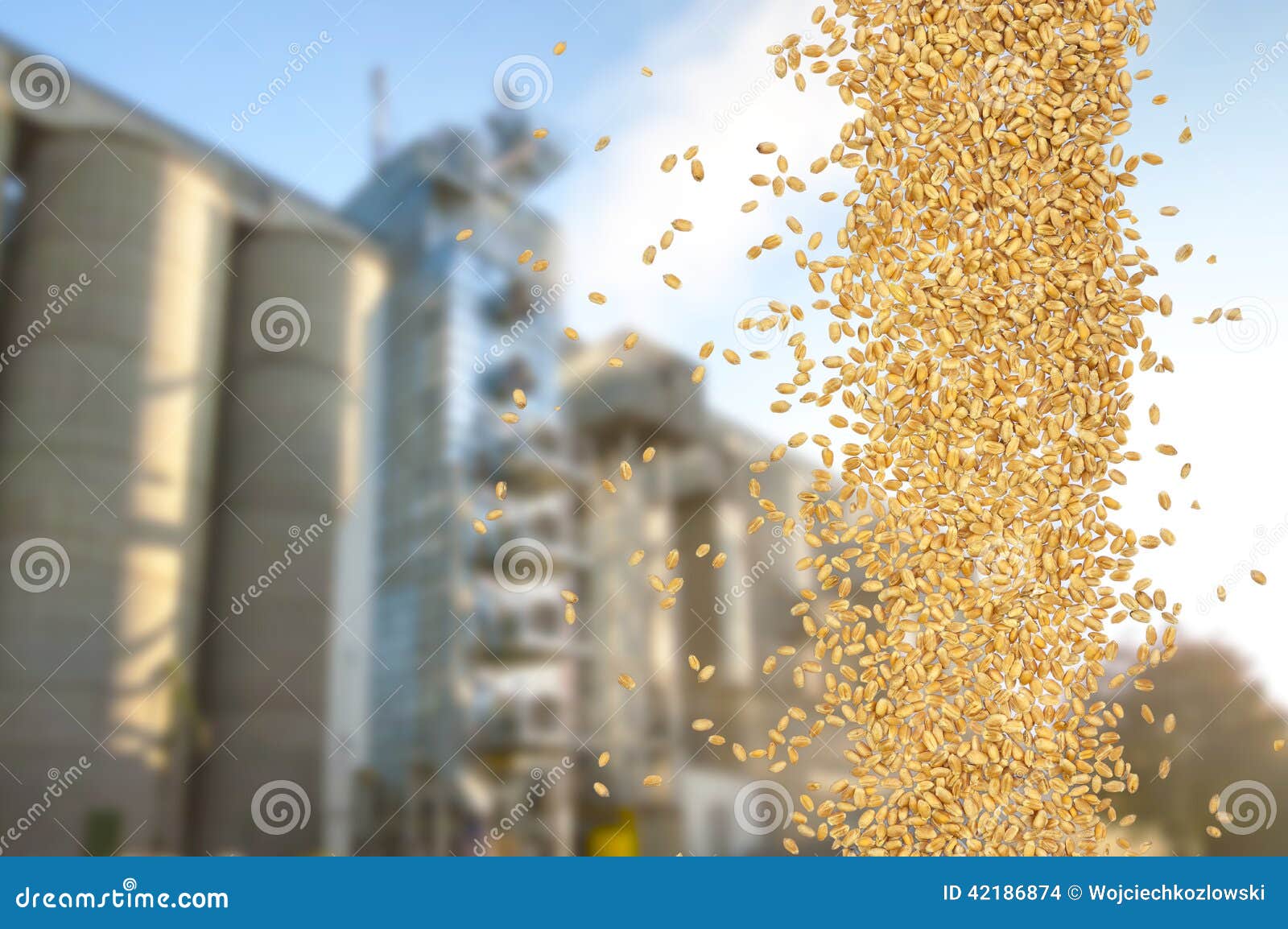 Falling grain stock photo. Image of unloading, agribusiness - 42186874