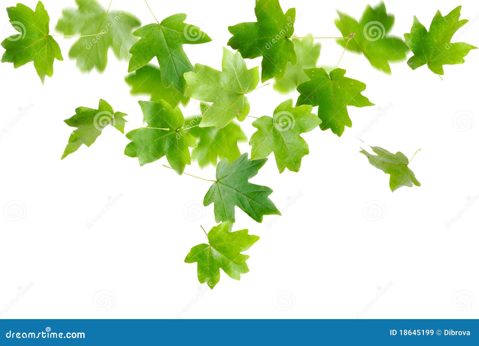 Falling Green Leaves Royalty Free Stock Images - Image: 18645199