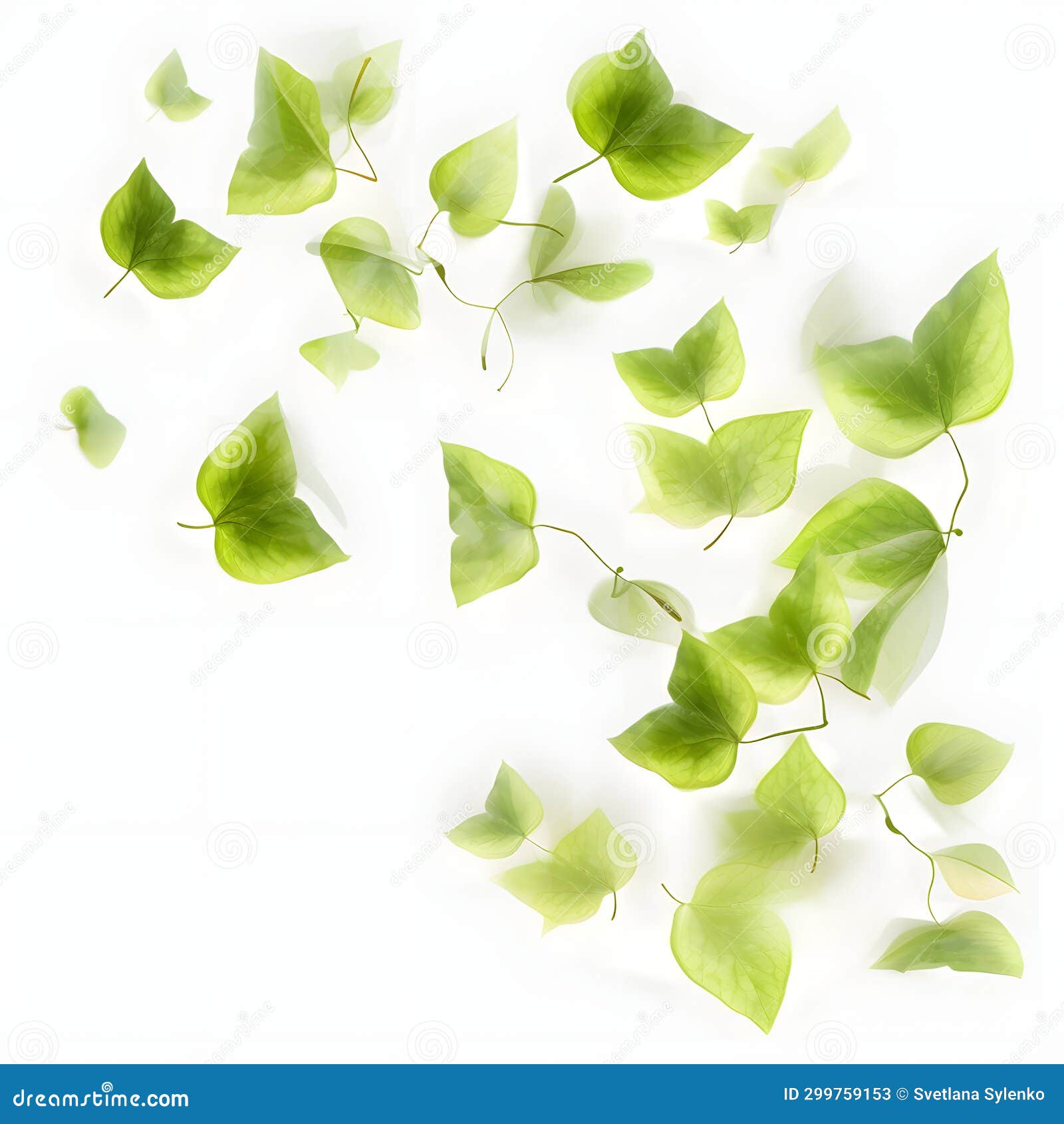 Falling Green Leaves Isolated on a White Background. Spring Foliage ...